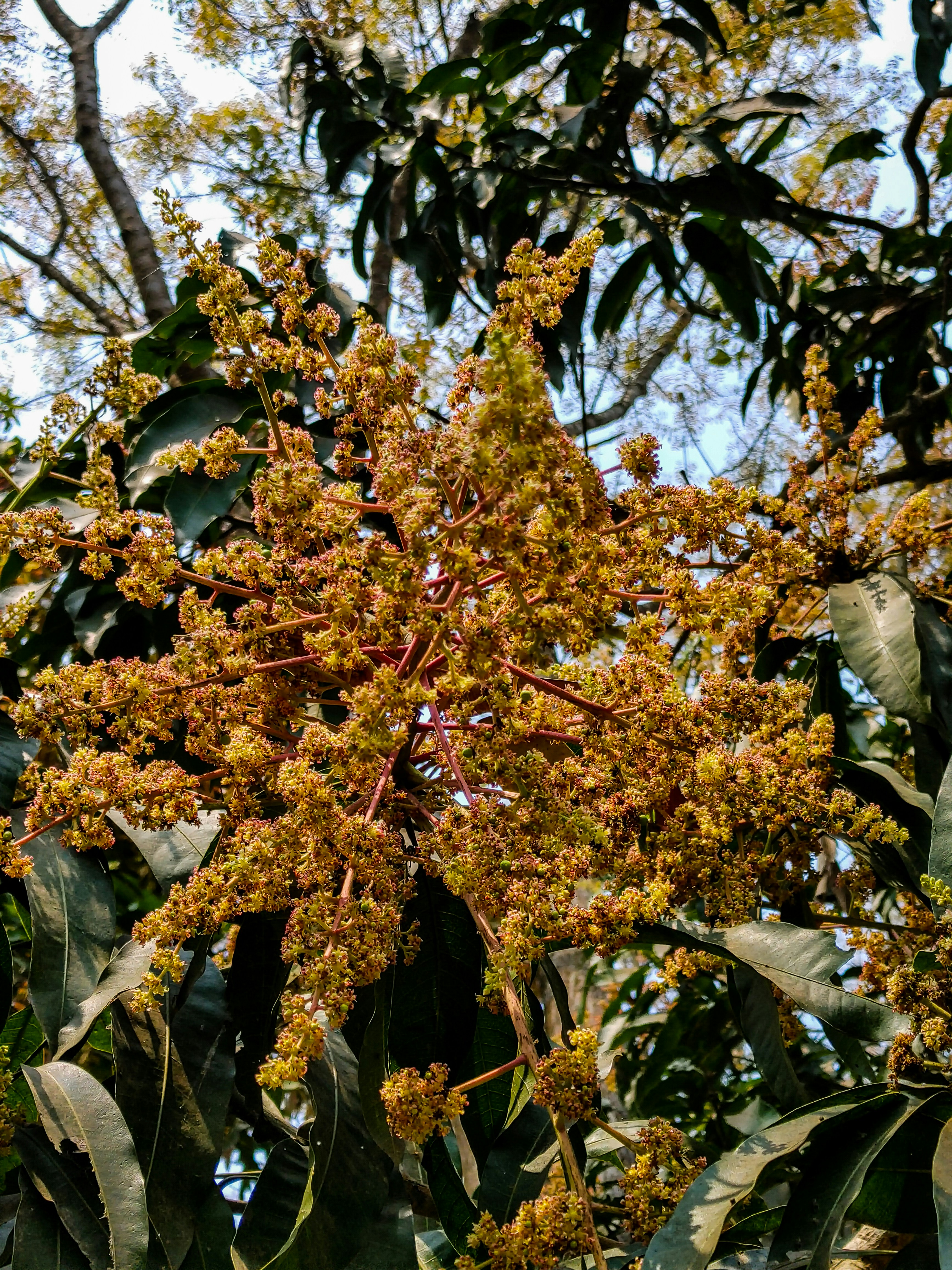 Photo by Wadud Emon with LG V60 ThinQ