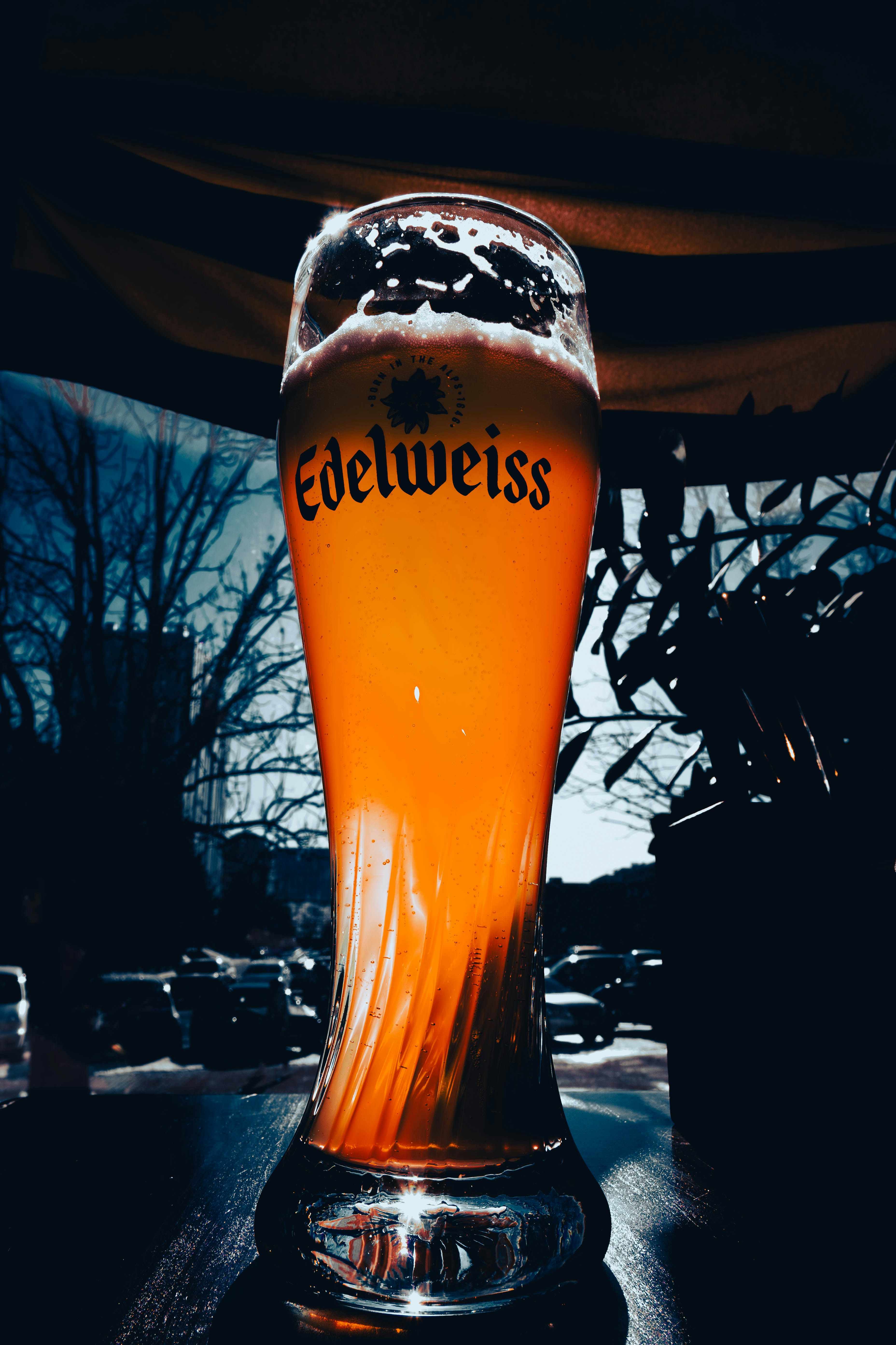 Backlit Amber: Edelweiss Beer Glass in Blue Hour