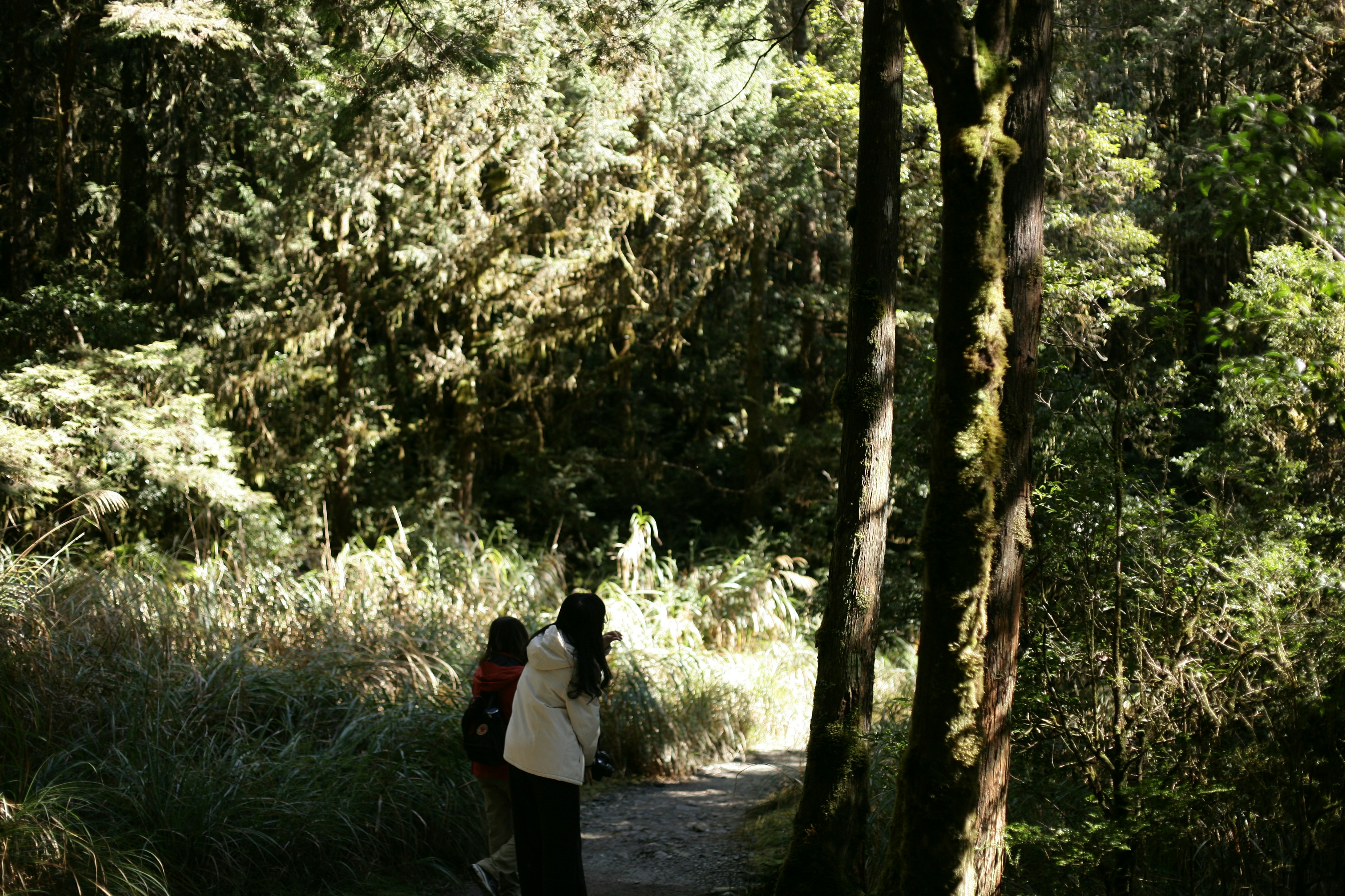 Photo by MChe Lee with CANON EOS 5D