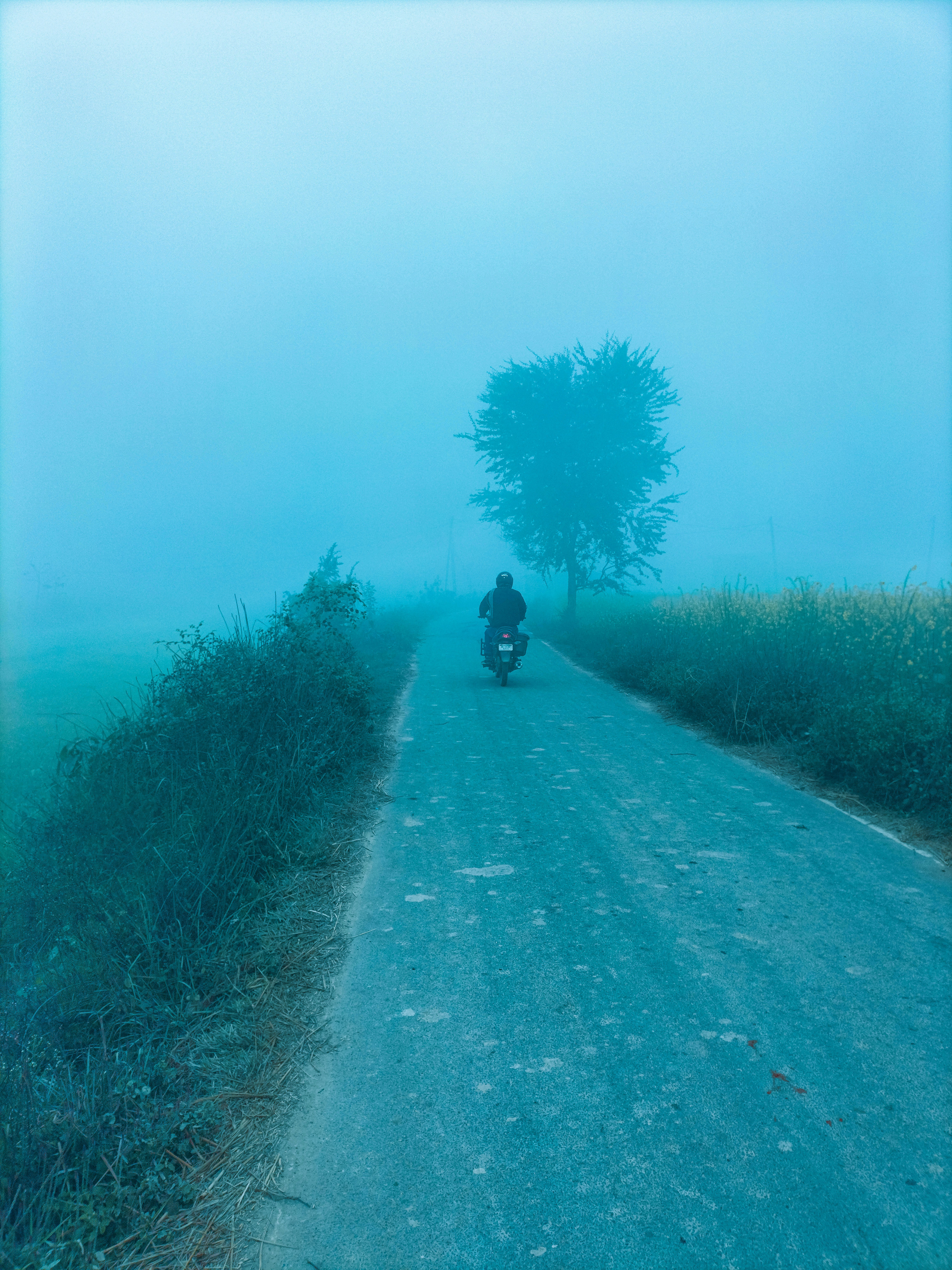 Muzammil Ahmad Karimi (@m_karimi) | Unsplash Photo Community