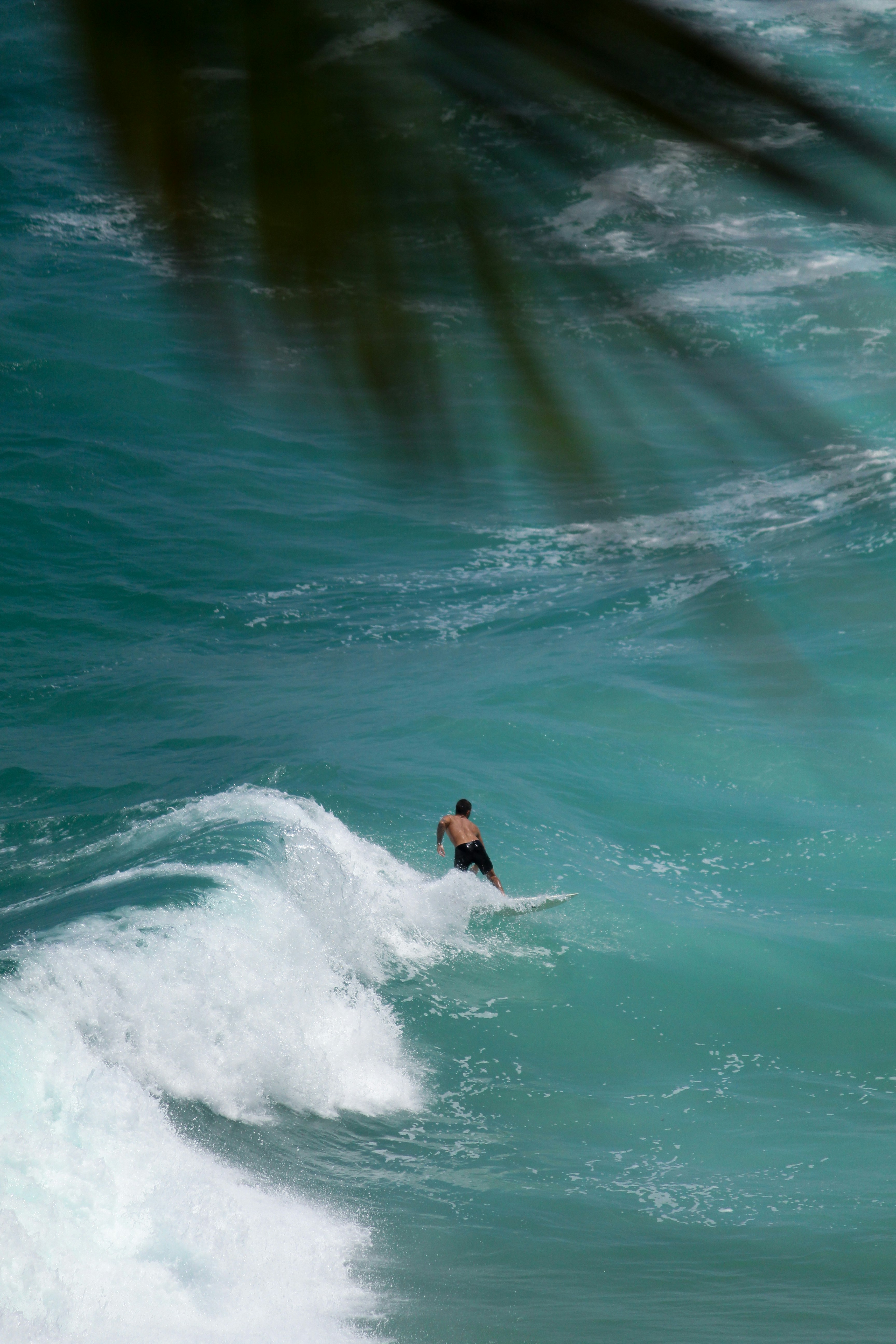 A man riding a wave on top of a surfboard photo – Free Brazil Image on ...