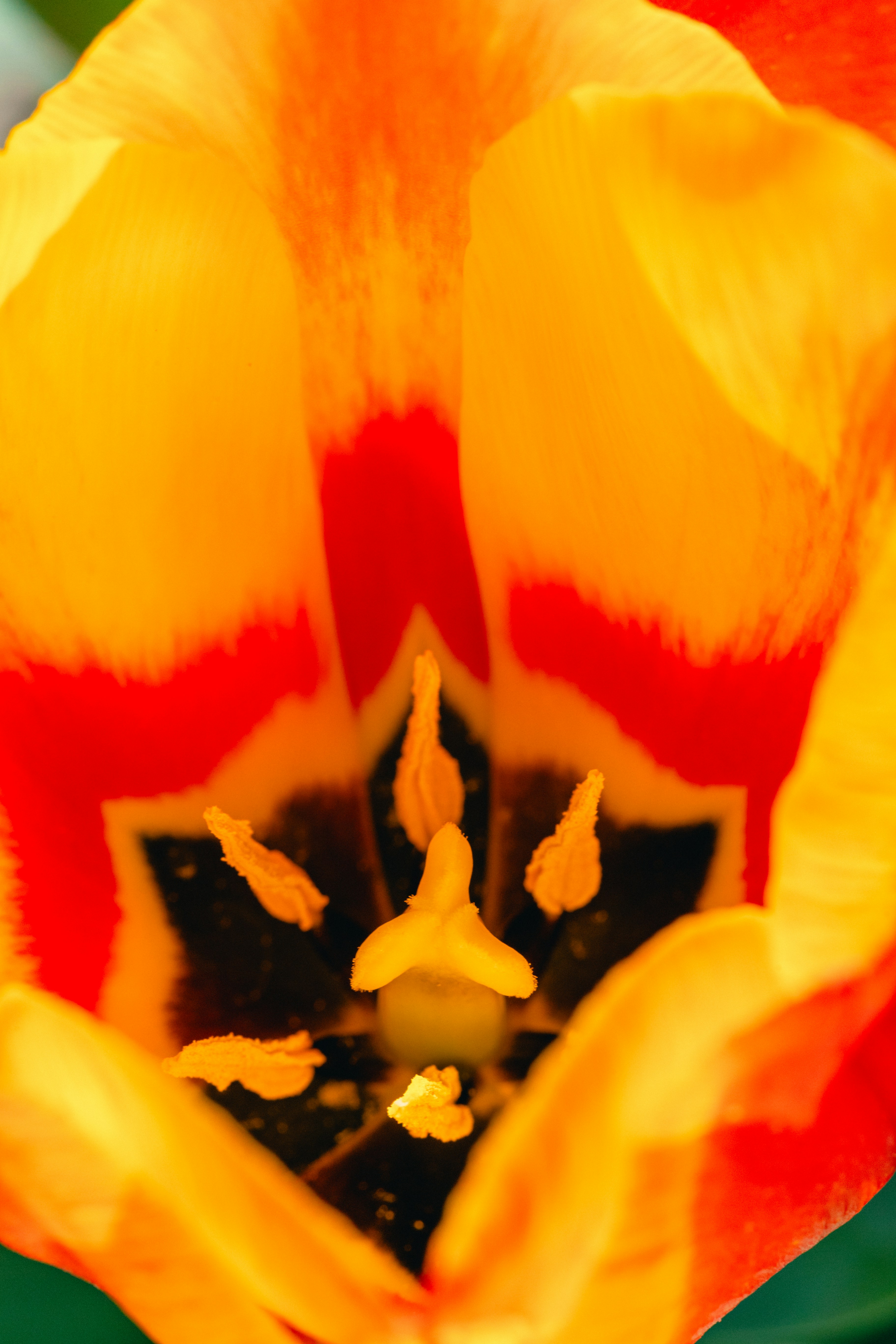 Photo by Jason Leung with Canon EOS R6