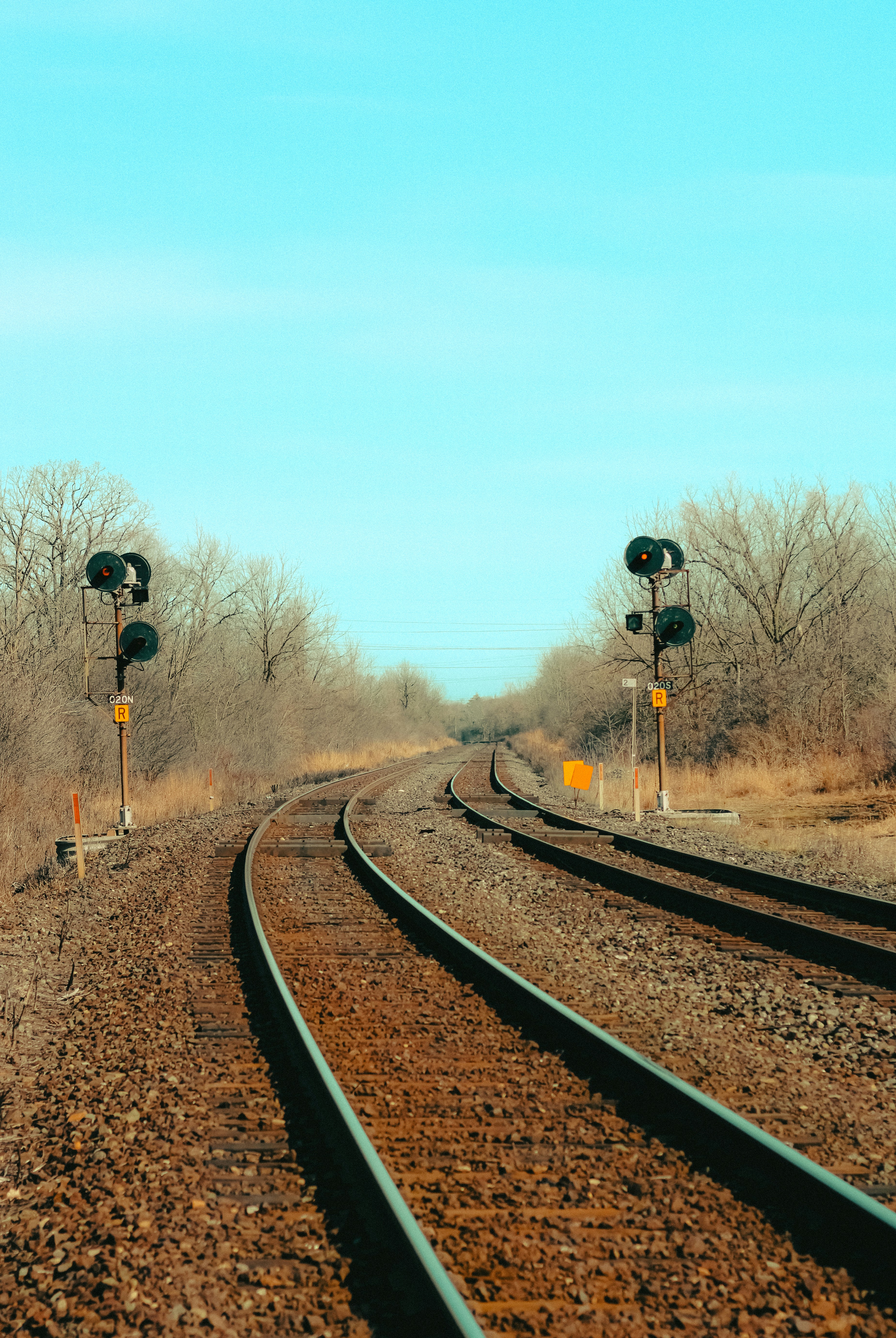 train tracks through the woods under the clear blue sky