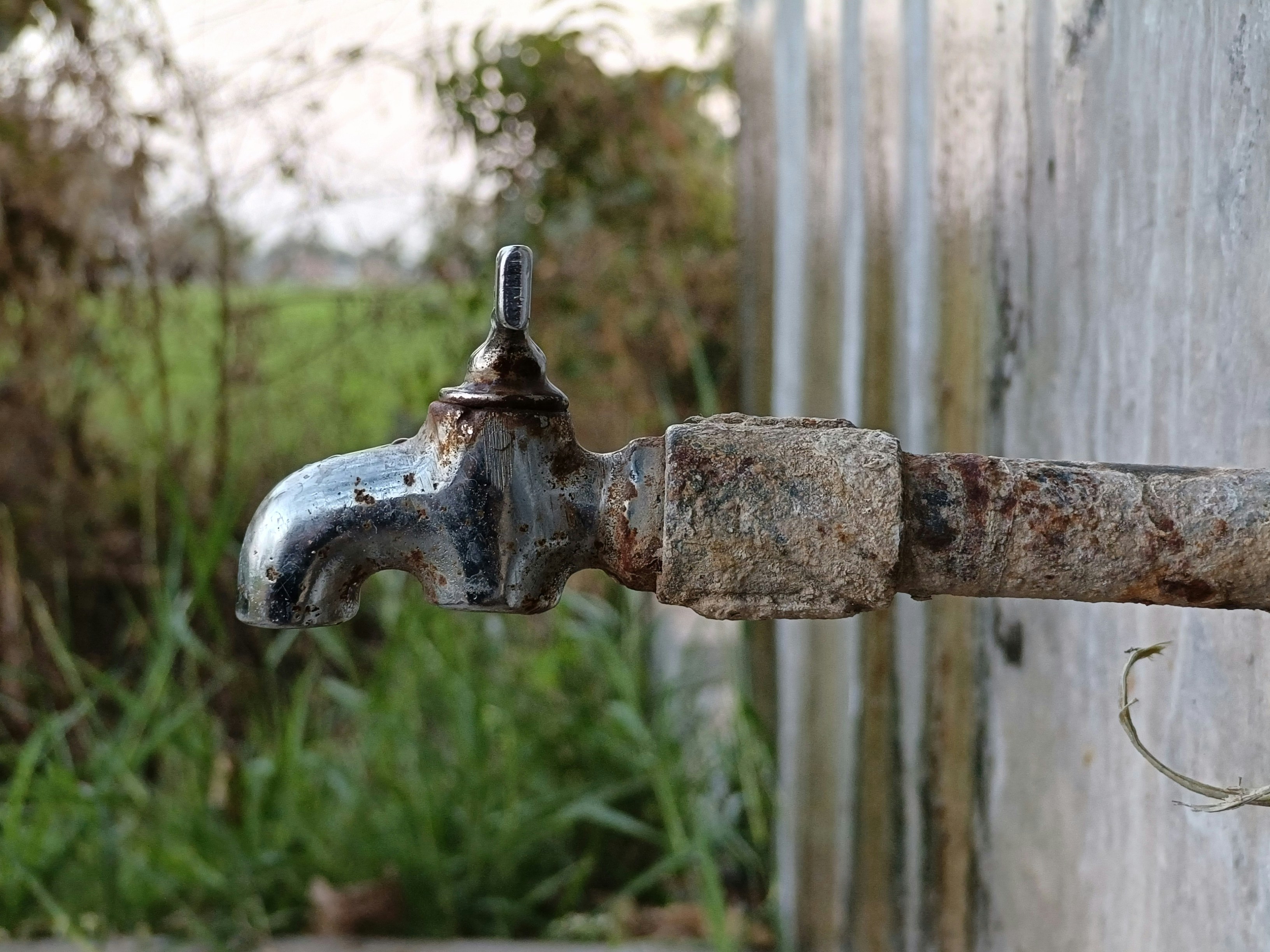 A rusted metal faucet attached to a concrete wall photo – Free Green ...