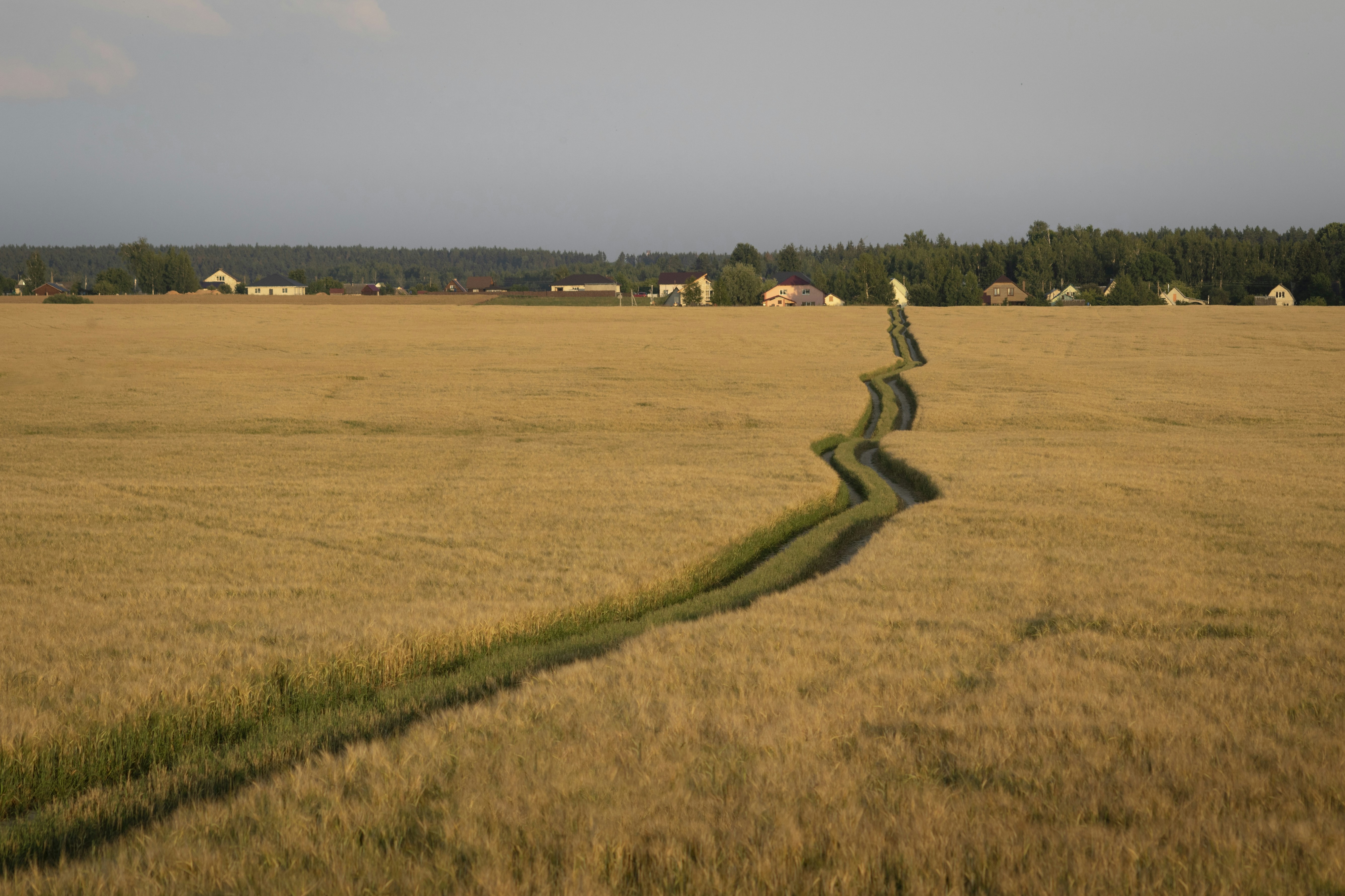 Meandering Field Road Toward a Quiet Village on the Horizon