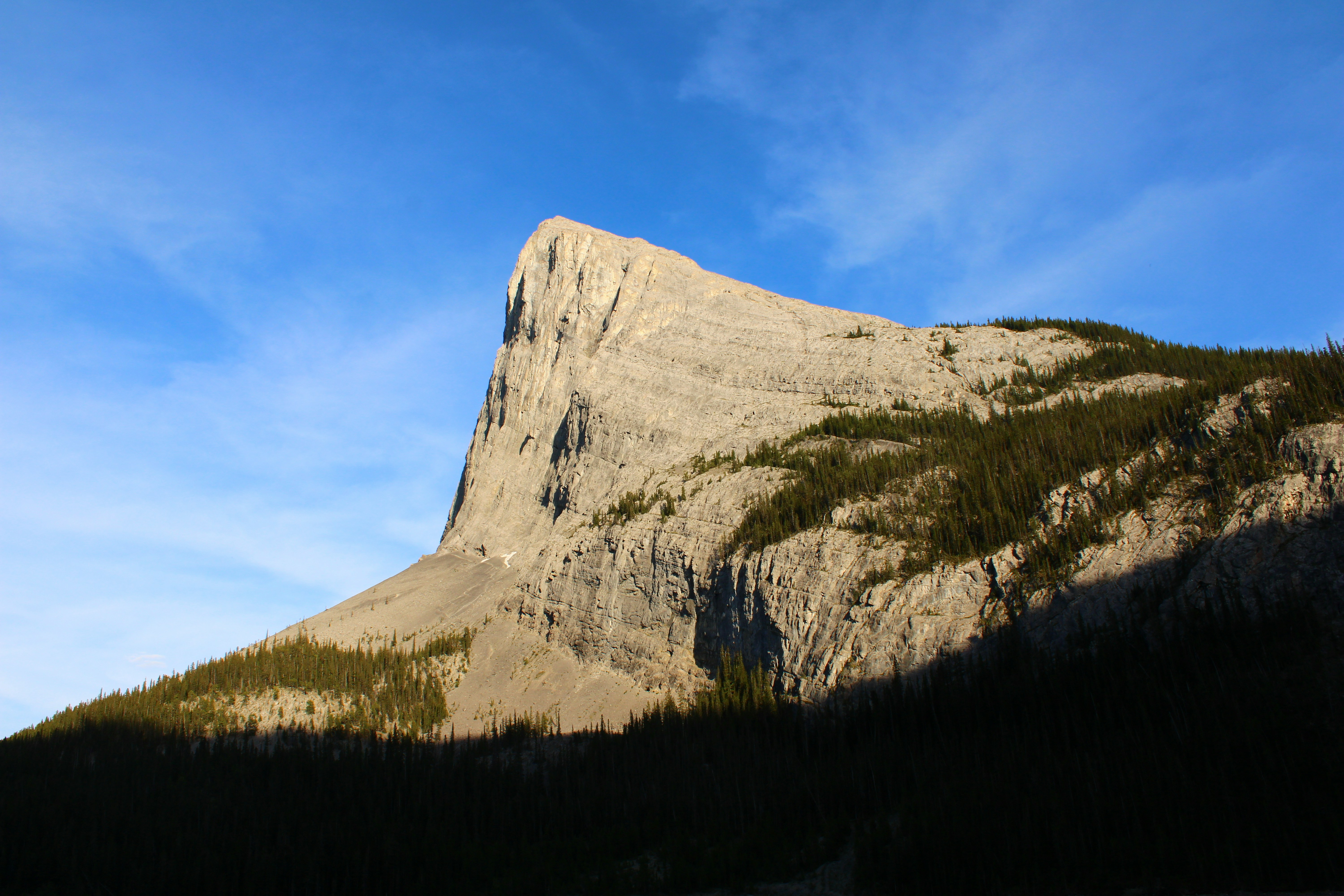 A tall mountain with trees on the side of it photo – Free Canmore Image ...