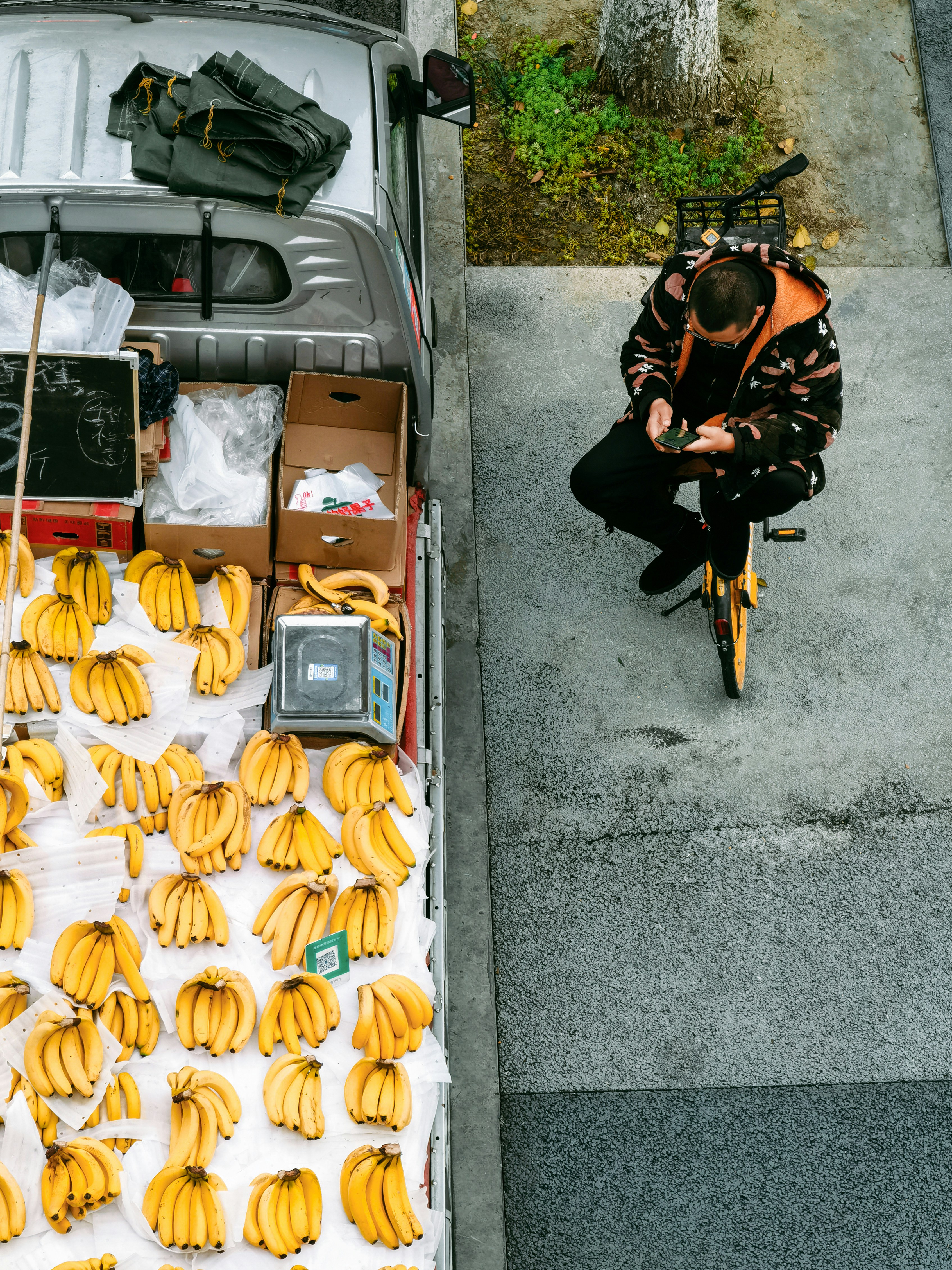 A man riding a bike next to a bunch of bananas photo – Free Phone ...