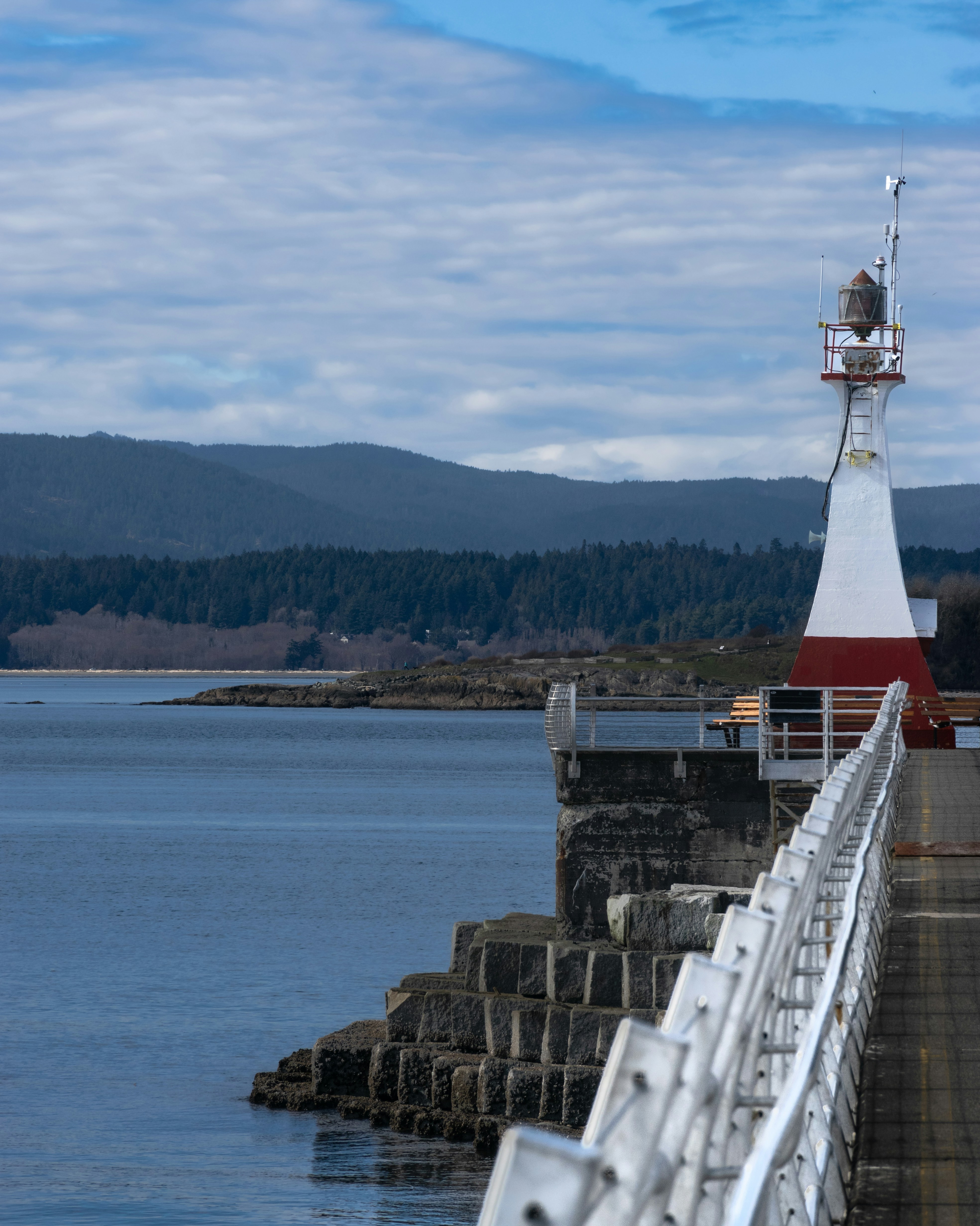 Beacon at the Pier's Edge: Quiet Coastal Gaze Toward Distant Pines