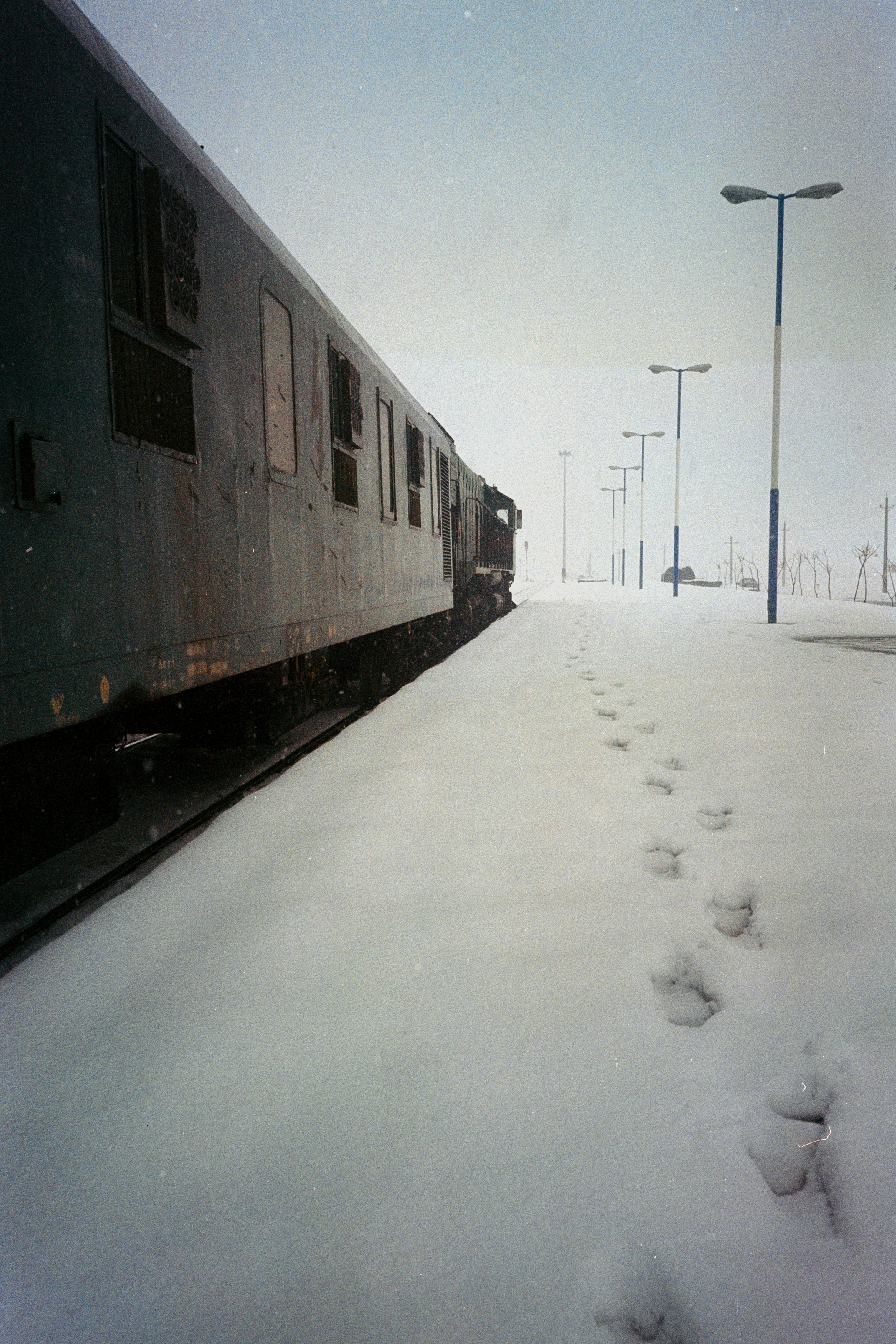 A train traveling down train tracks covered in snow photo – Free Train ...