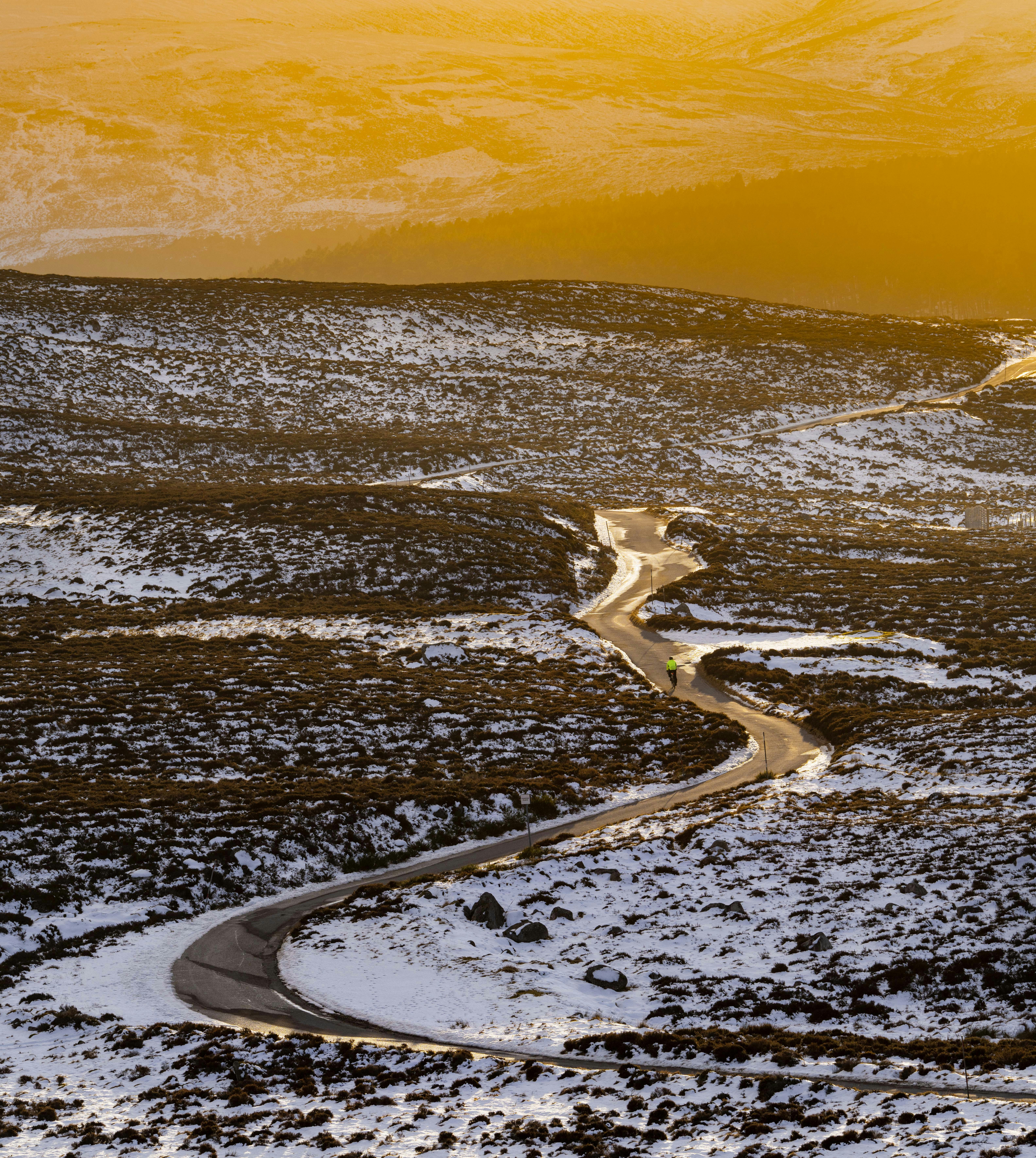 Golden Path: A Snowy Desert Road Winding Toward the Distant Glow