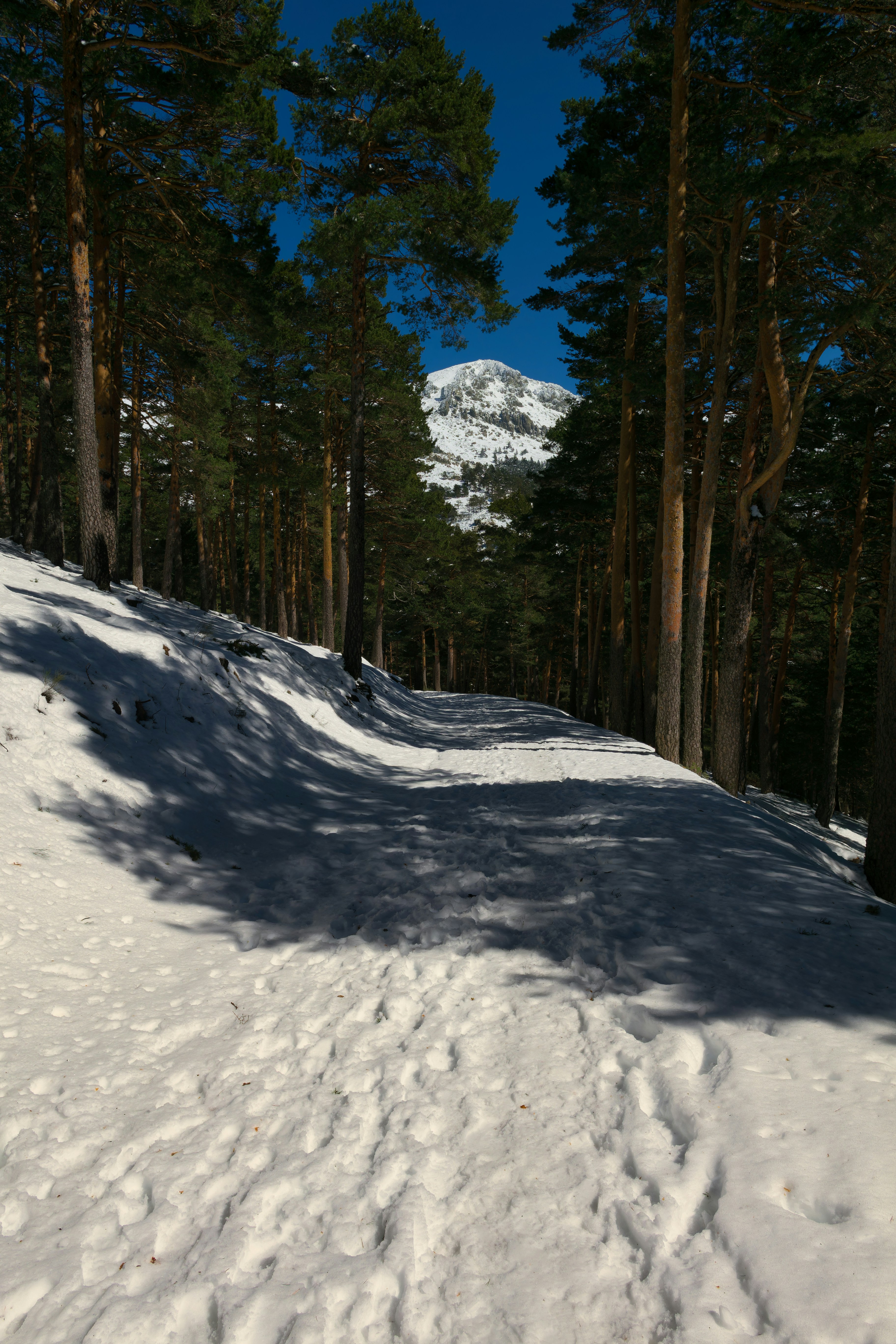 Photo by piotr sawejko with Samsung NX300M