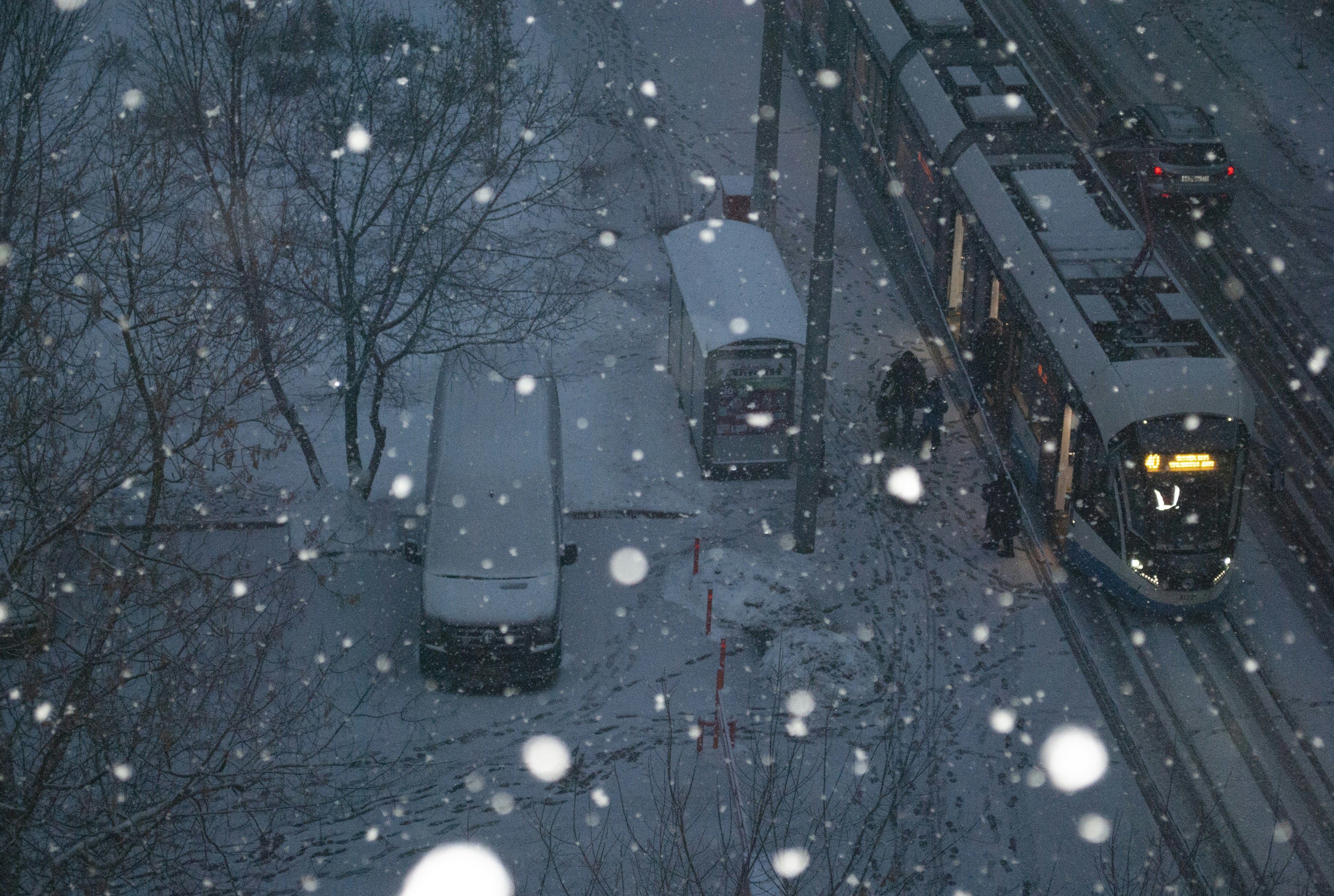 Photo by OLGA KOSOLAPOVA with Nikon D3000