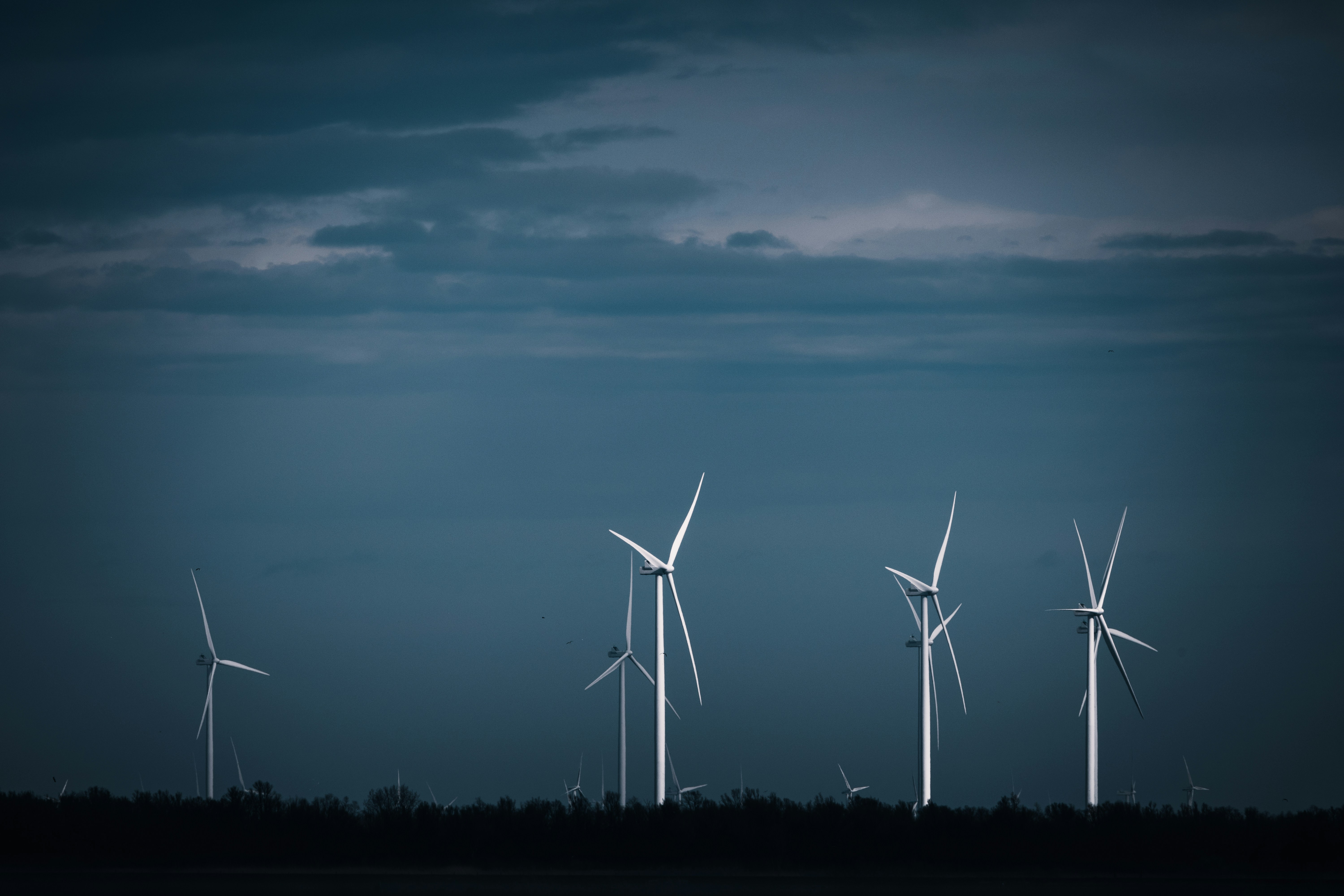 A group of windmills in a field at night photo – Free Netherlands Image ...