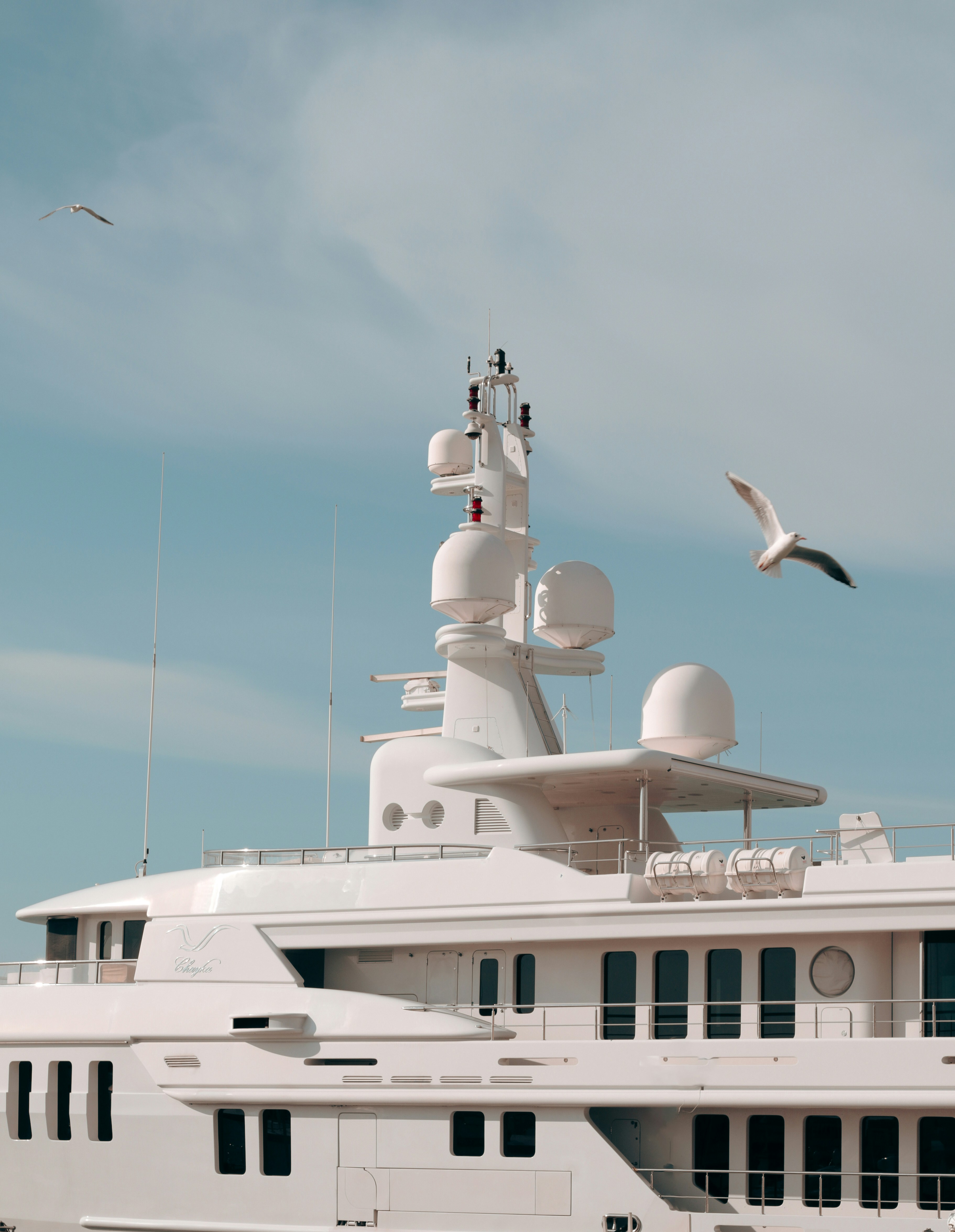 A large white boat with a bird flying over it photo – Free Sochi Image ...