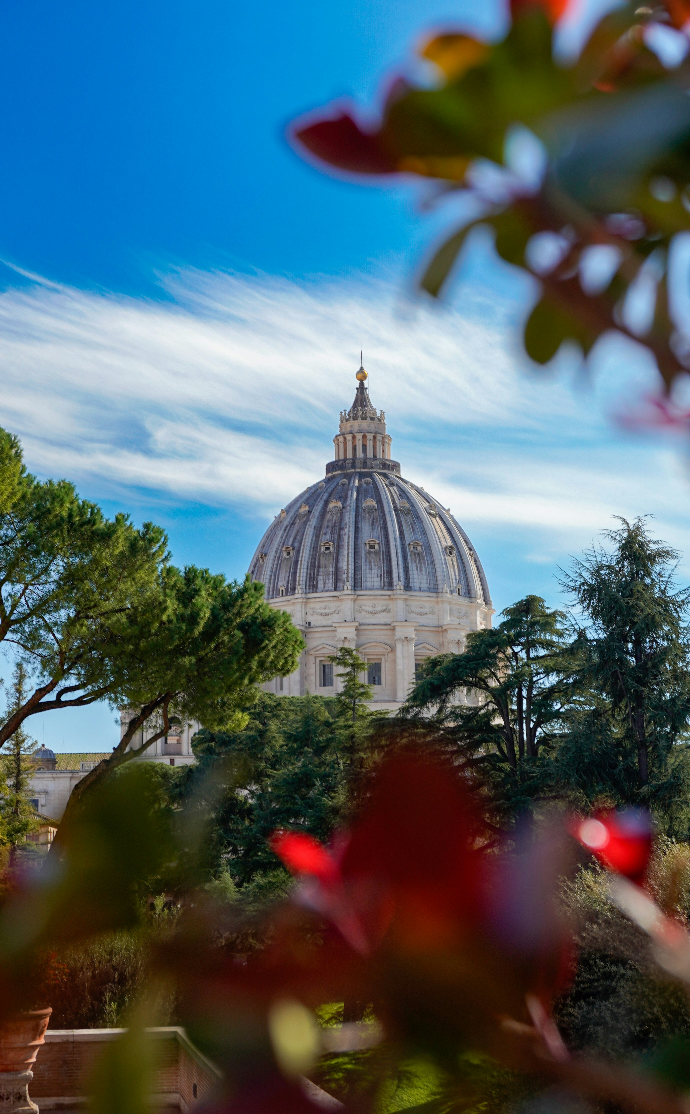 Photo by Damir Korotaj with Sony Alpha 7R IIIA