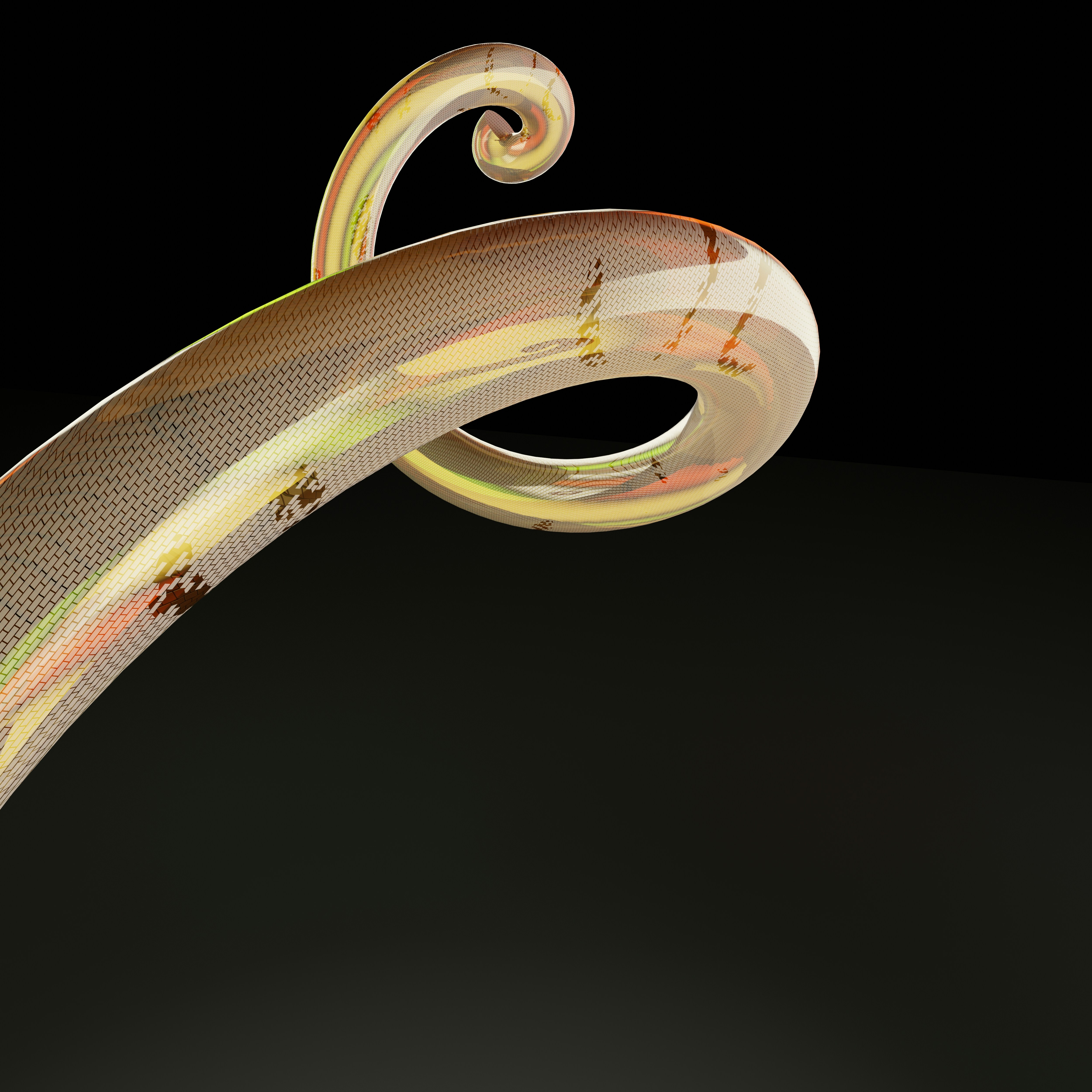 A very unusual looking object in the dark photo – Free Snake Image on ...