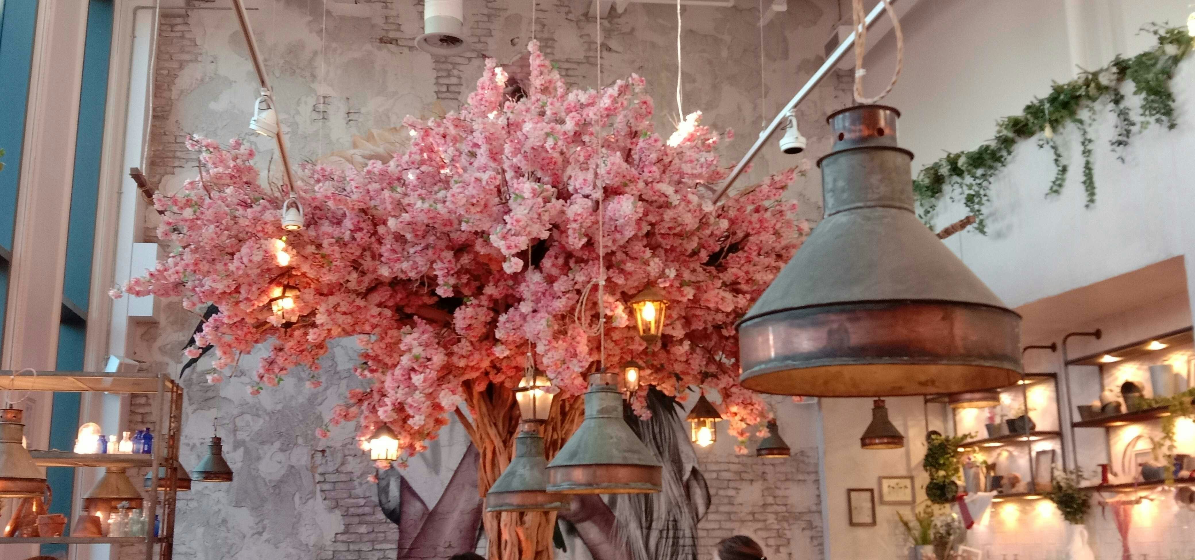Cherry Bloom Café: A Cozy Glimpse Under Copper Lanterns