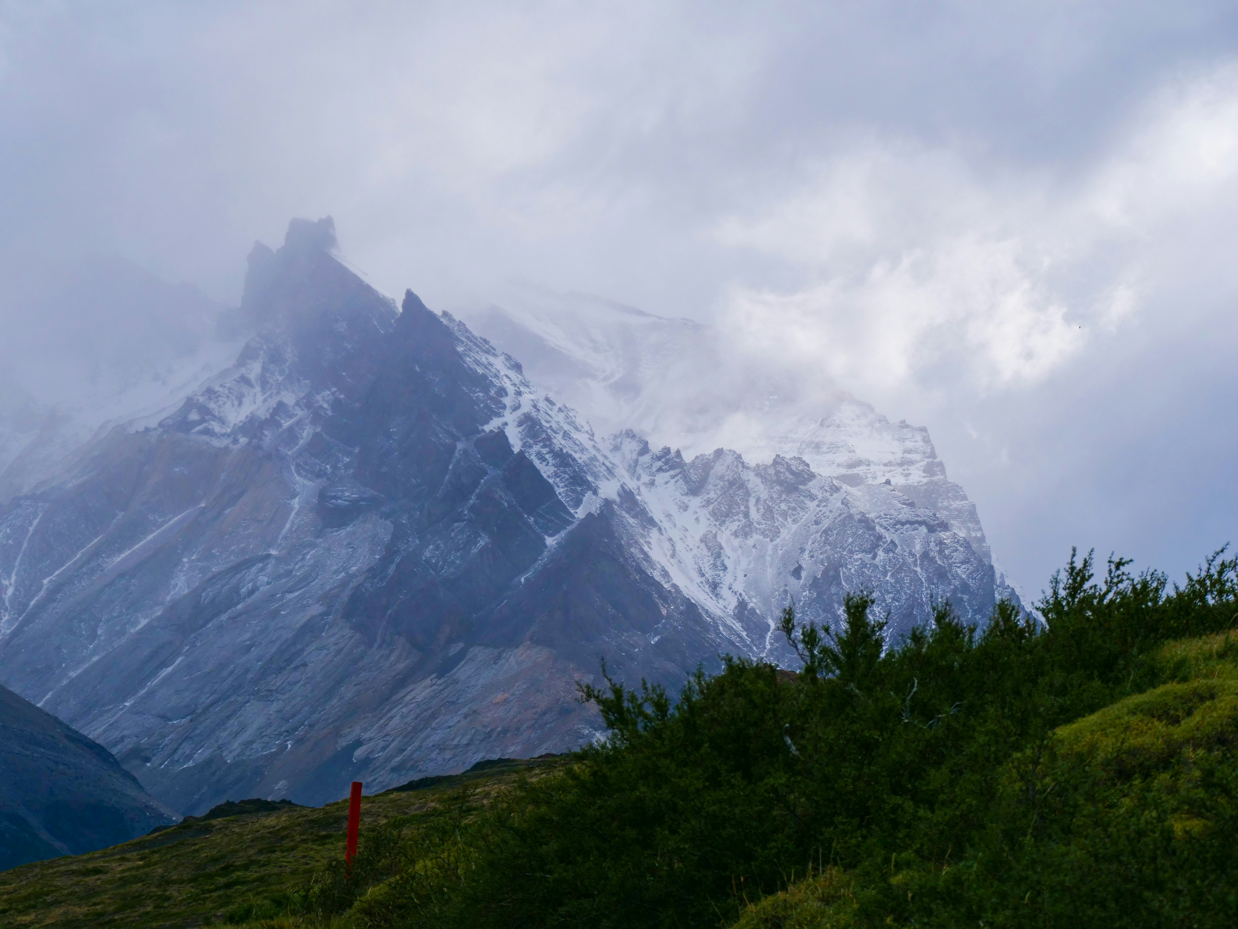 Snow-dusted mountain peak shrouded in mist with a foreground of green foliage.