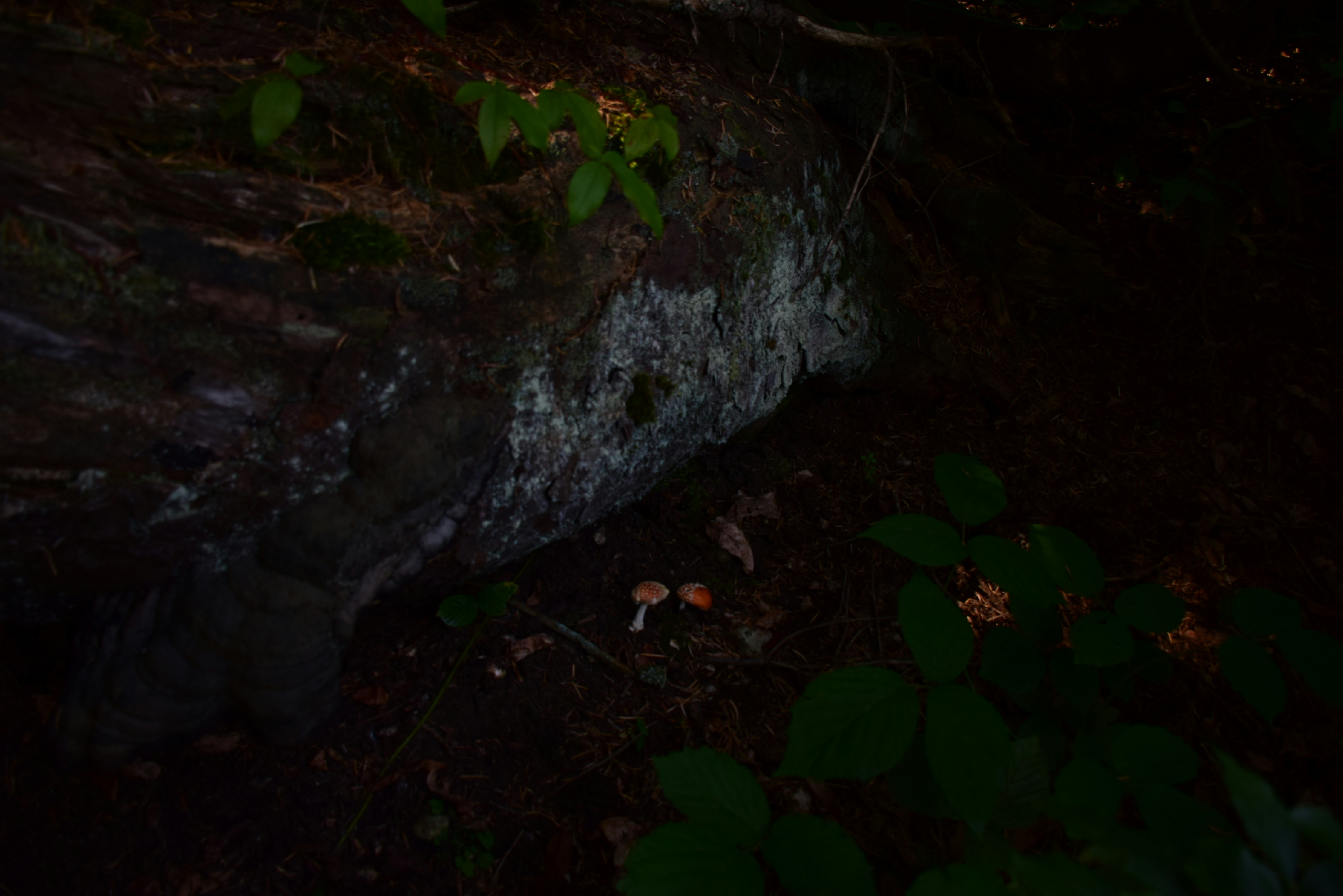 Hande Özgöz (@handeozgoz) | Unsplash Photo Community