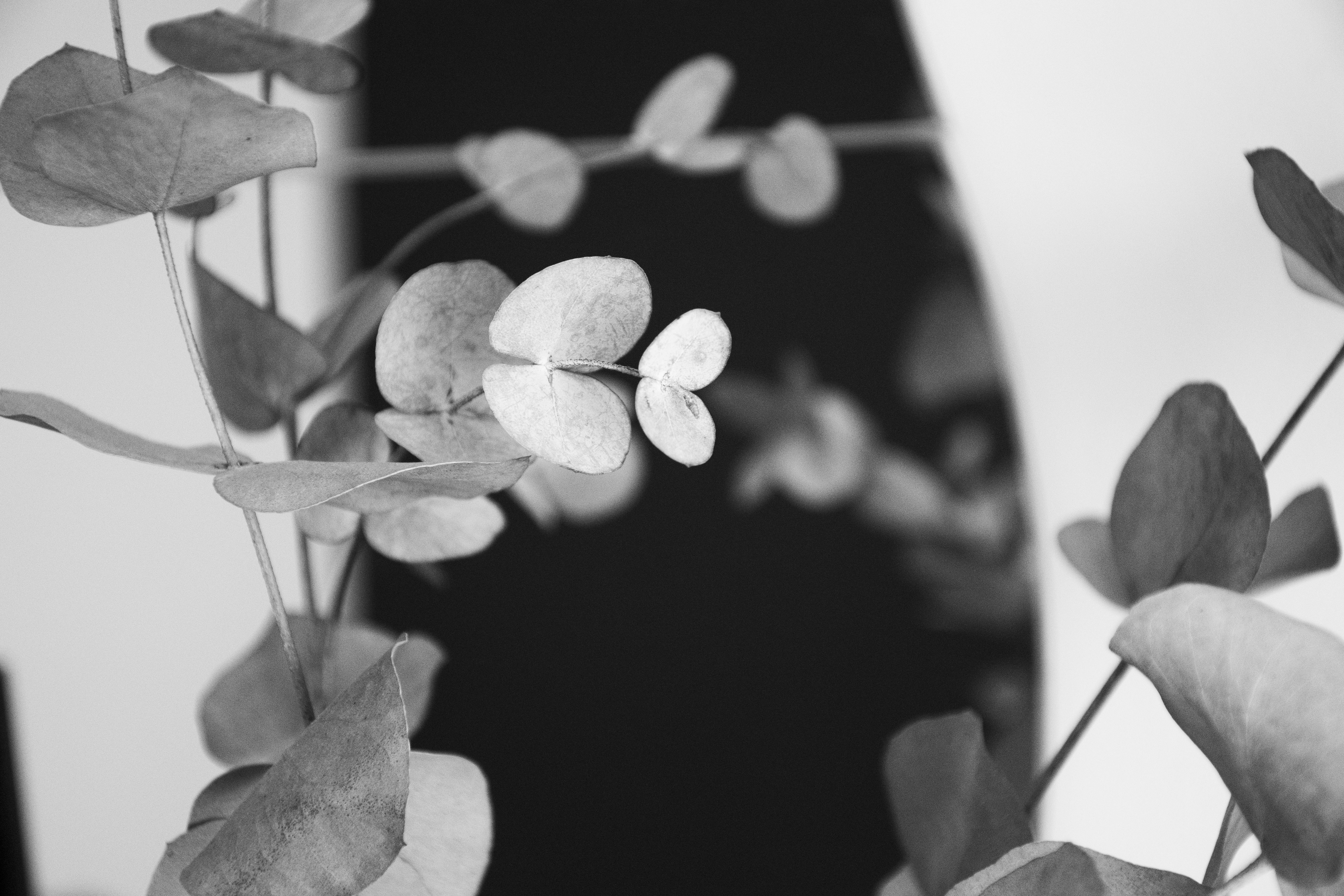 Hande Özgöz (@handeozgoz) | Unsplash Photo Community