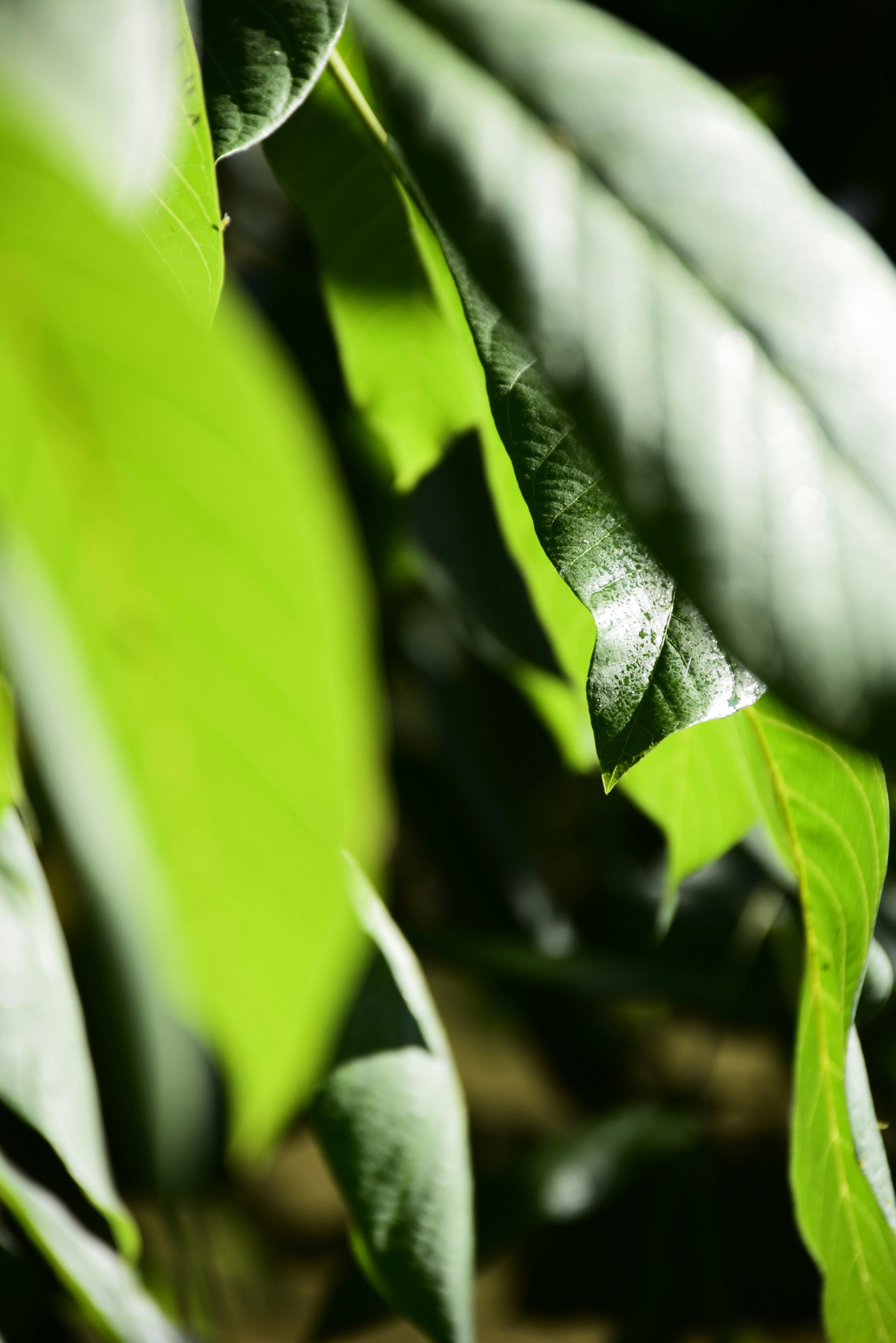 Hande Özgöz (@handeozgoz) | Unsplash Photo Community