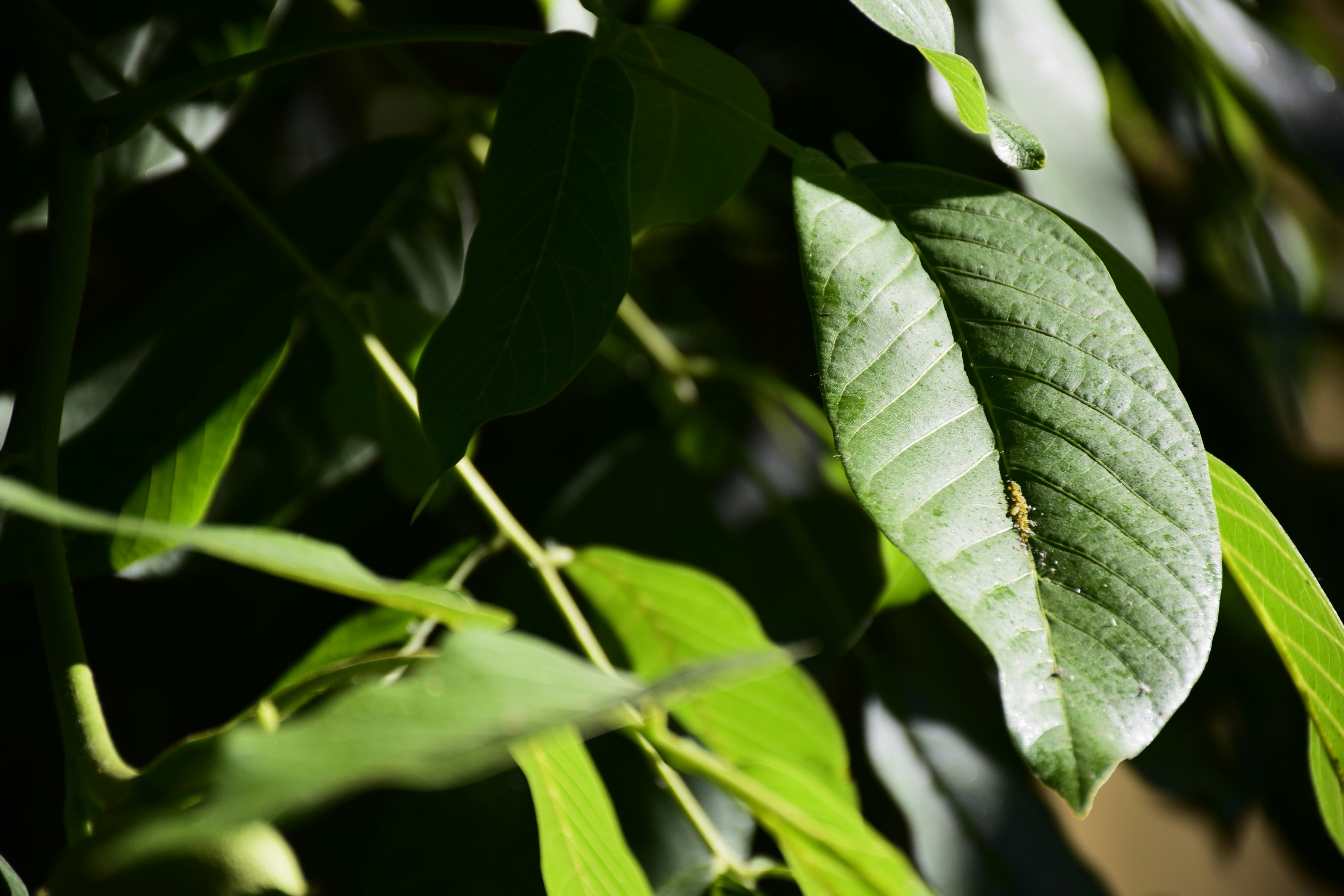 Hande Özgöz (@handeozgoz) | Unsplash Photo Community