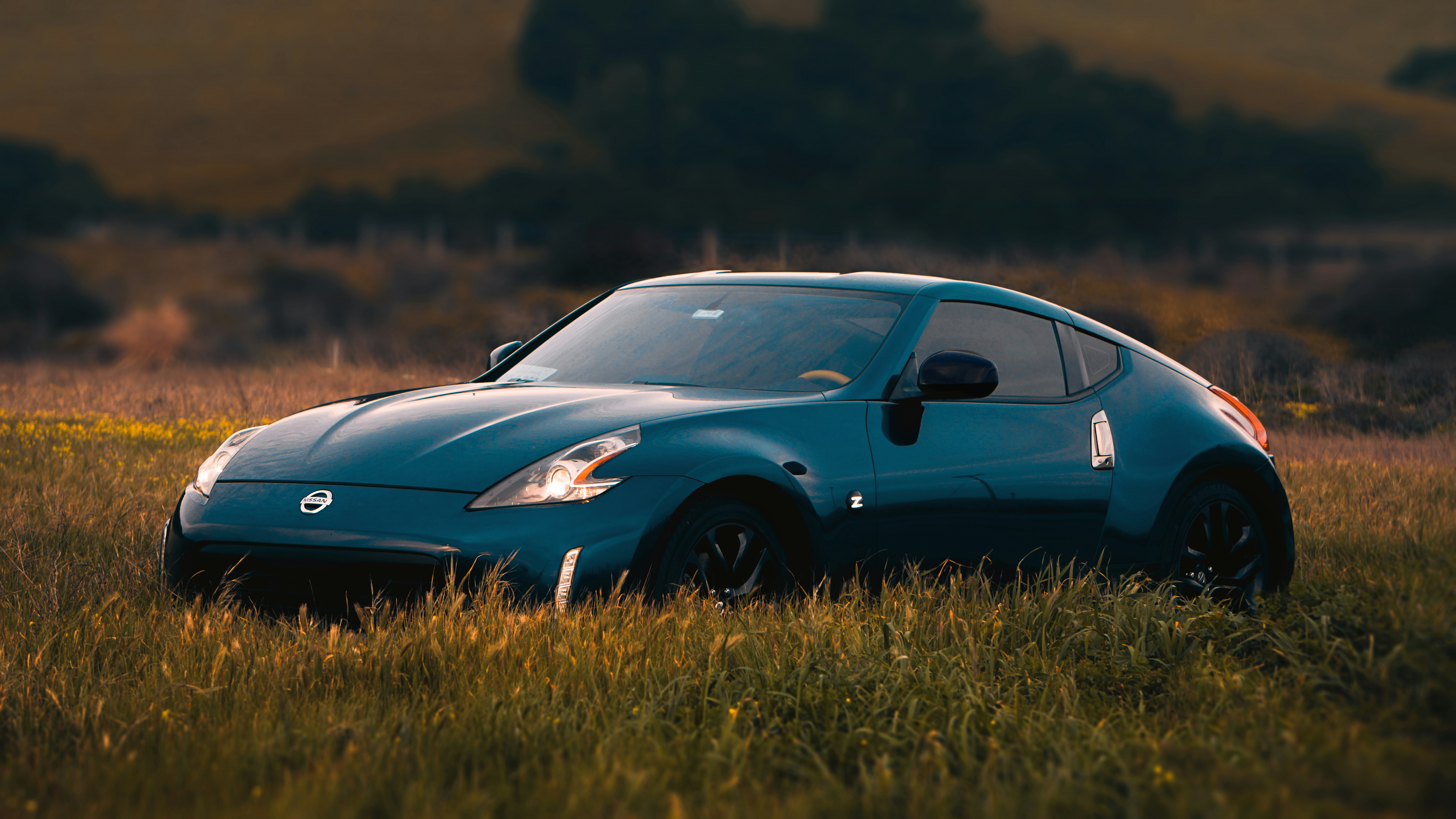 Blue Nissan Z in Golden Grass at Dusk