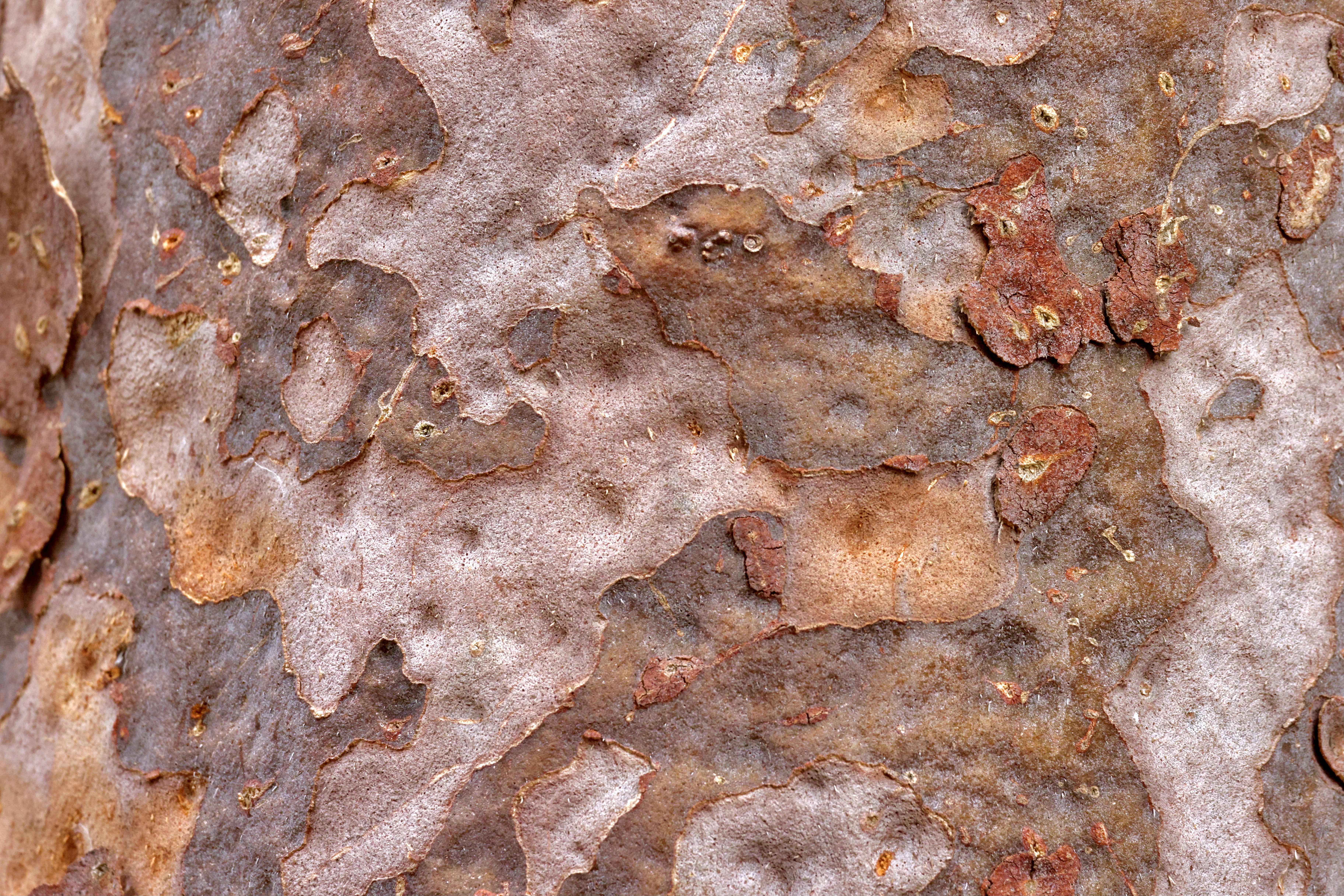 Photo by James Wainscoat with Canon EOS R5