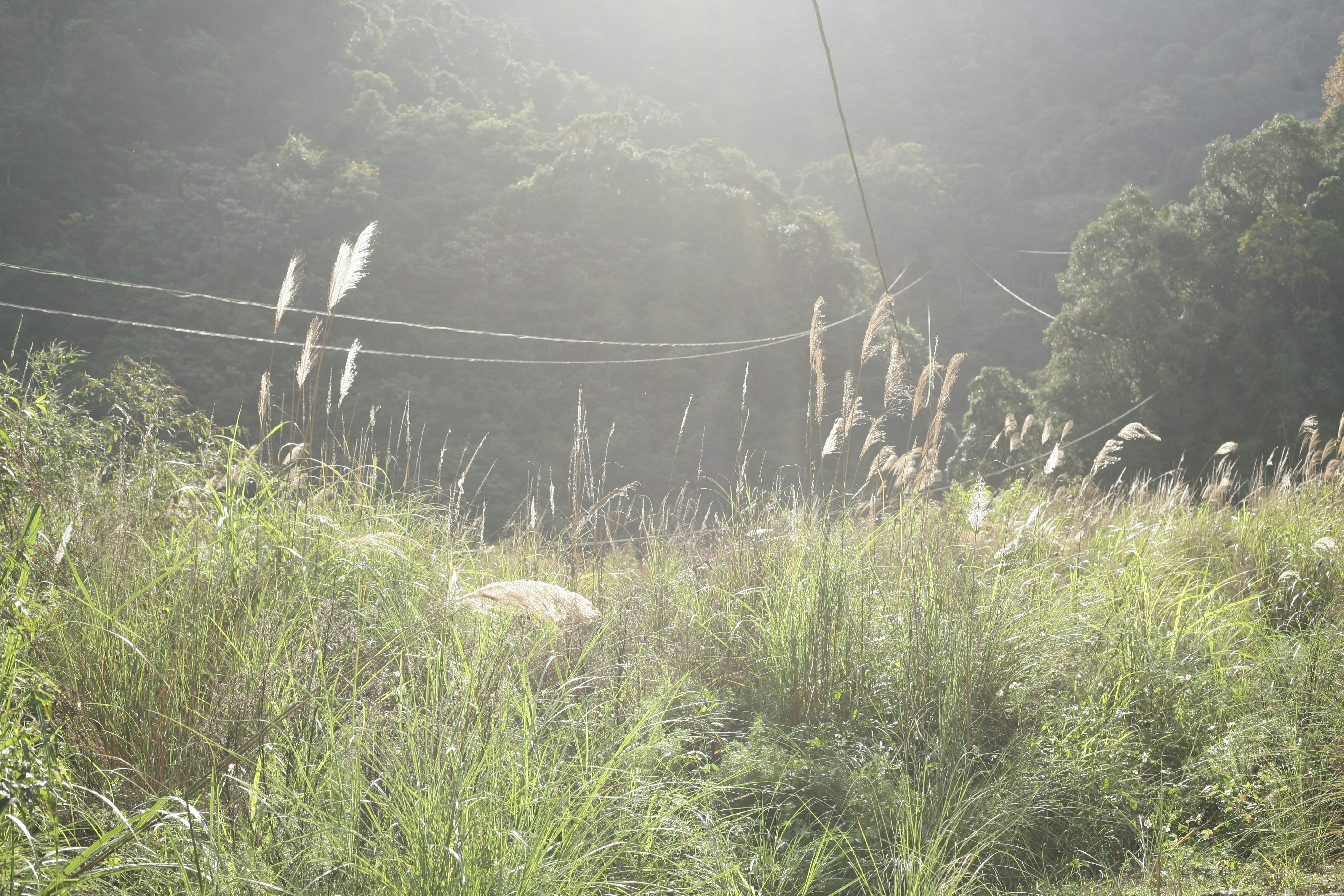 Photo by MChe Lee with CANON EOS 5D