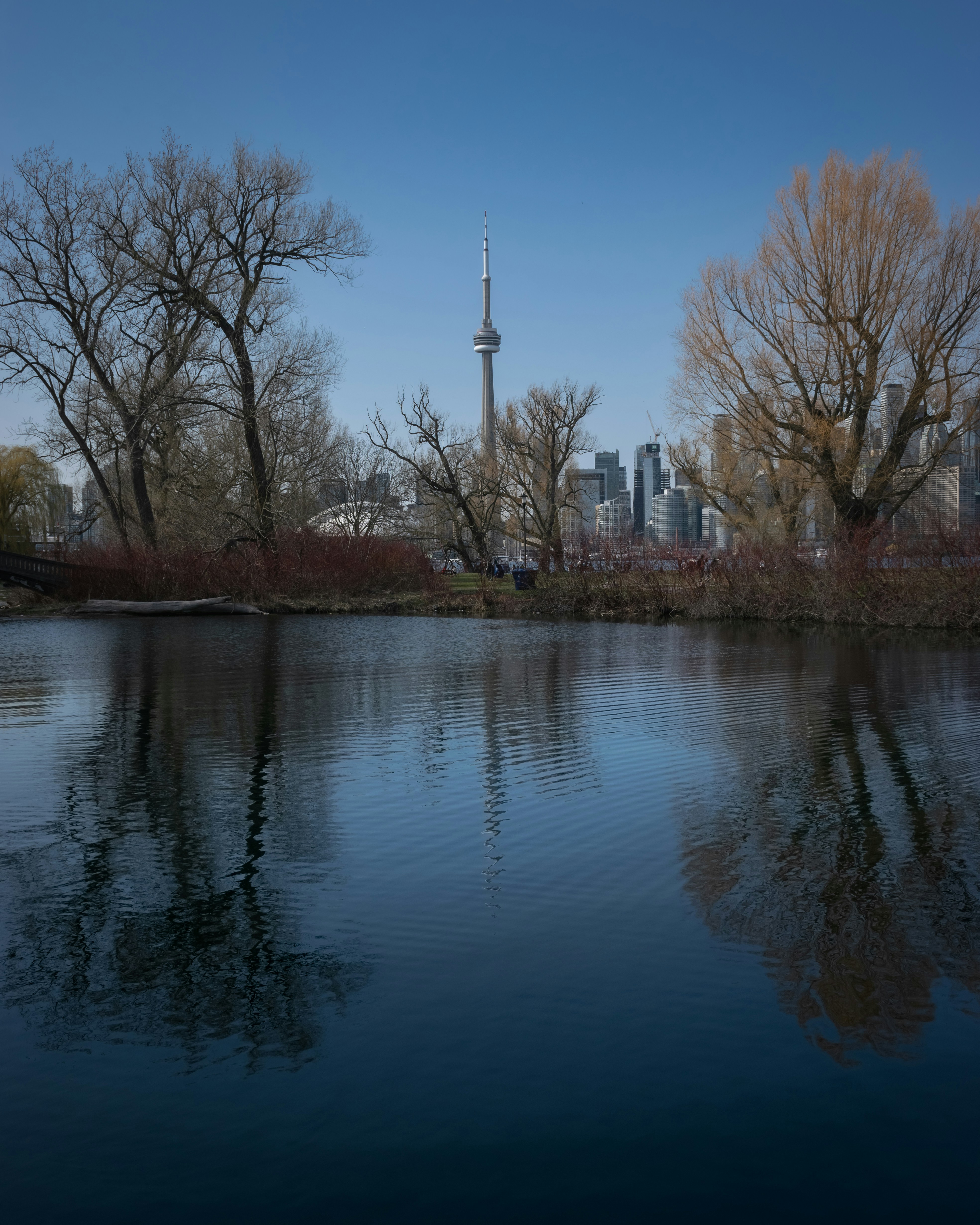 Reflection of trees and Toronto Skyline as seen from Toronto Islands. Toronto, Canada, Apr/22.