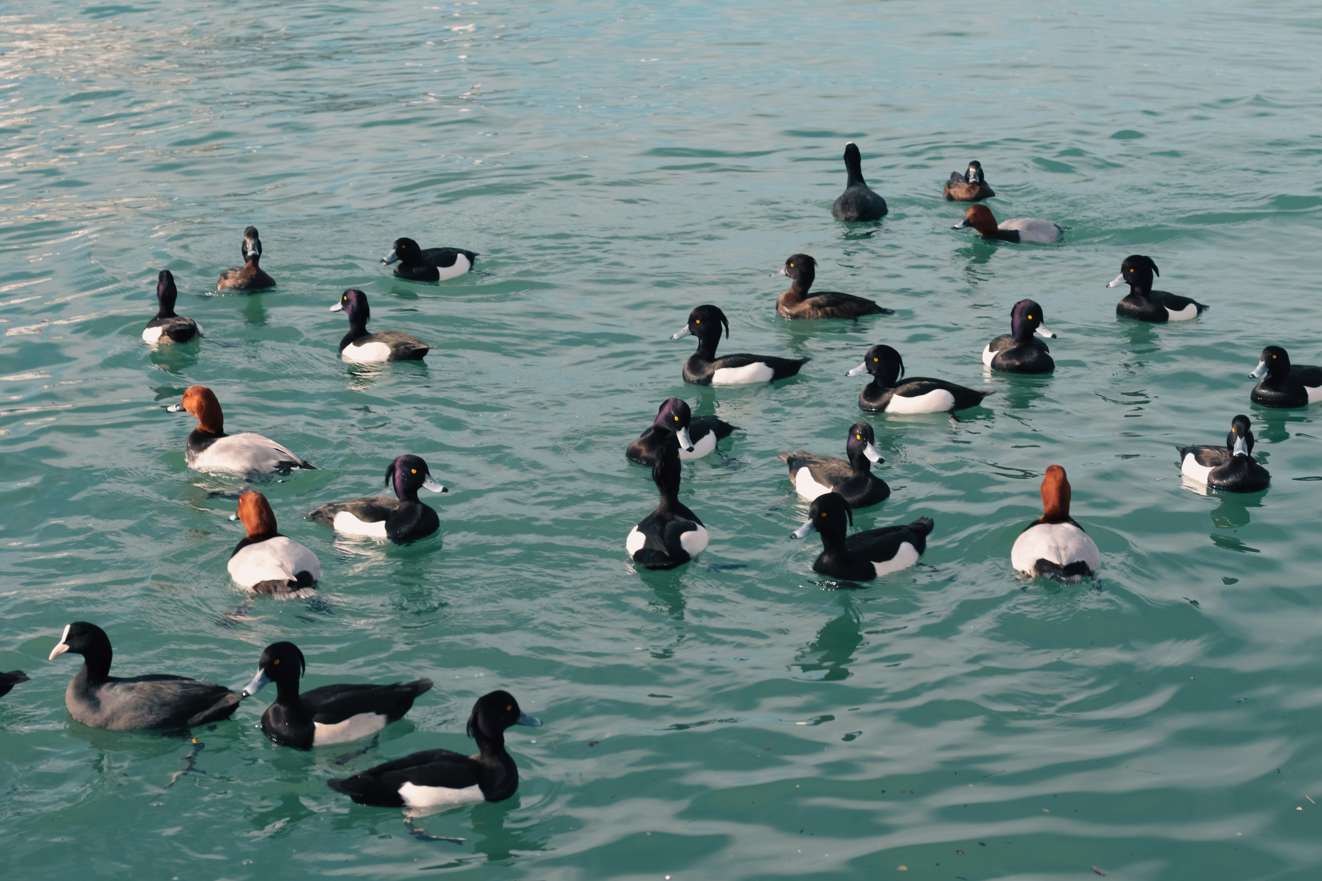 Photo by Roman Petrov with Canon EOS 7D Mark II