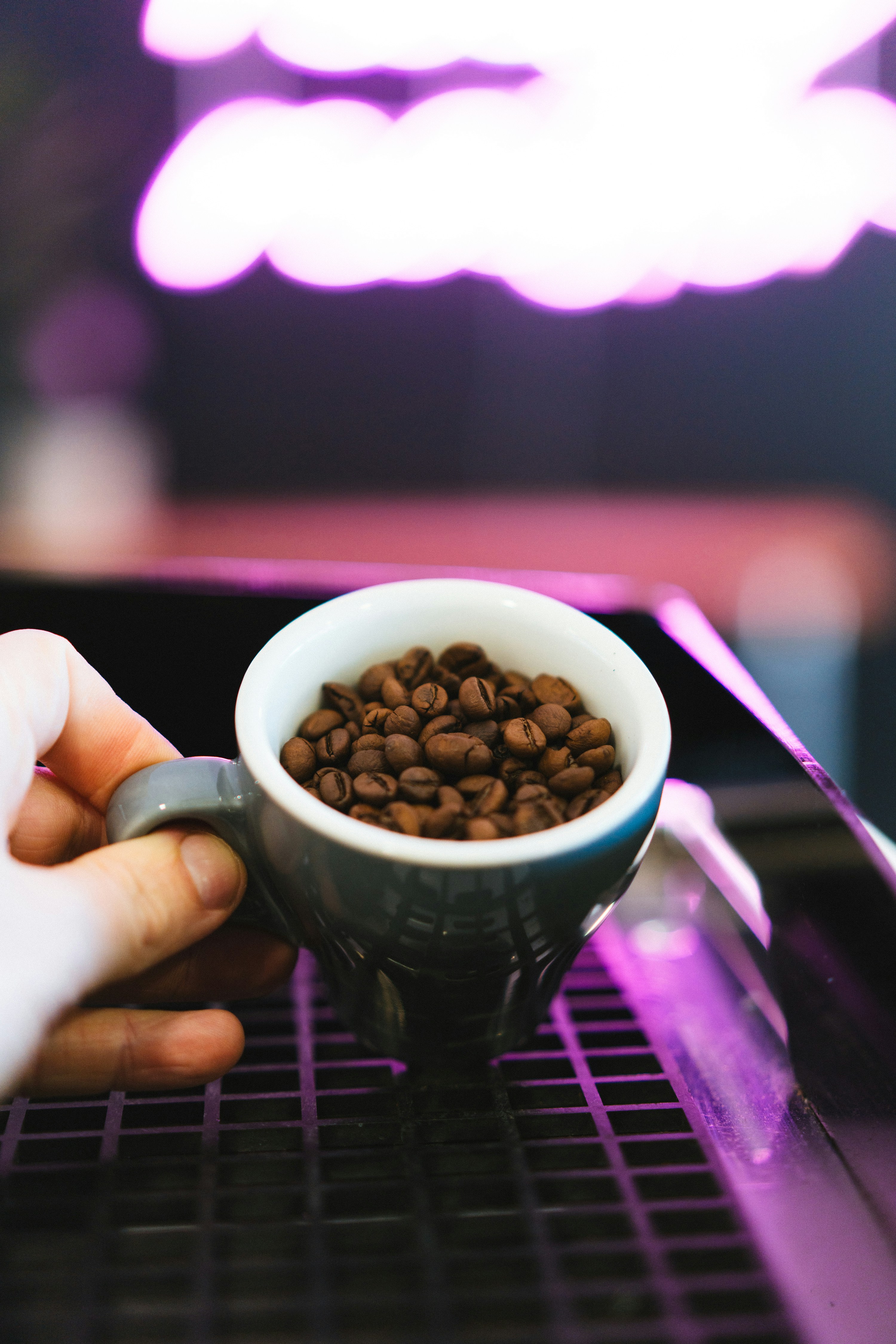 Handful of Roasted Beans Under Neon Violet Glow