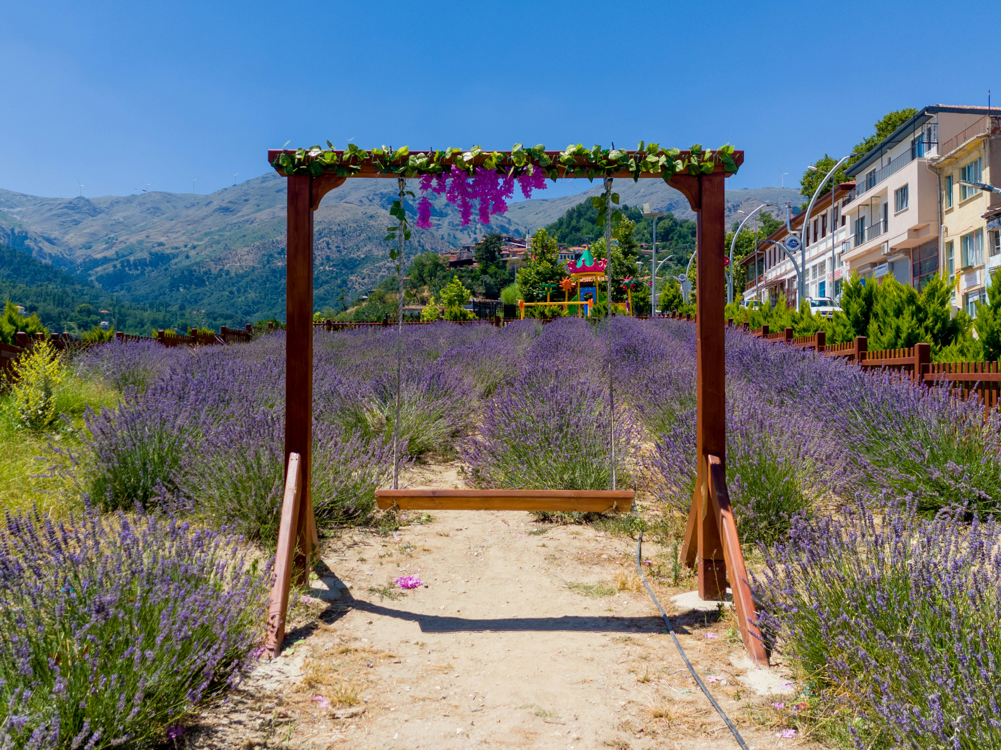 Lavender Gateway: A Wooden Arbor Framed by Violet Fields