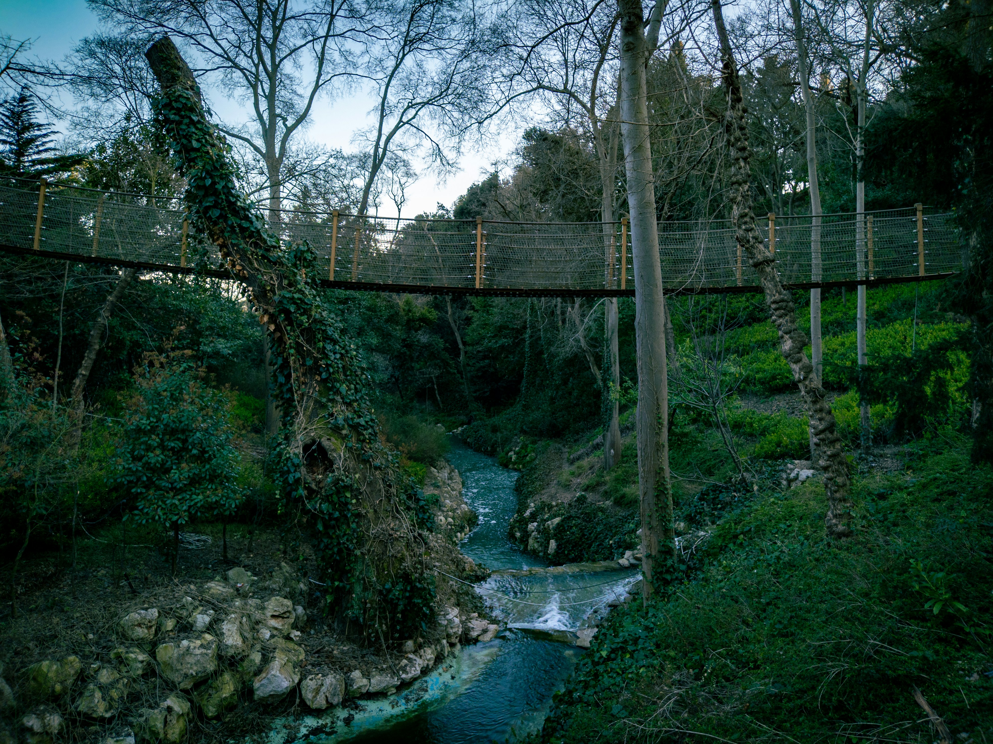 A narrow river winds through a forest, crossed by a wooden footbridge. Dappled light reveals mossy rocks, thick vegetation, and a tranquil, cool-toned scene.
