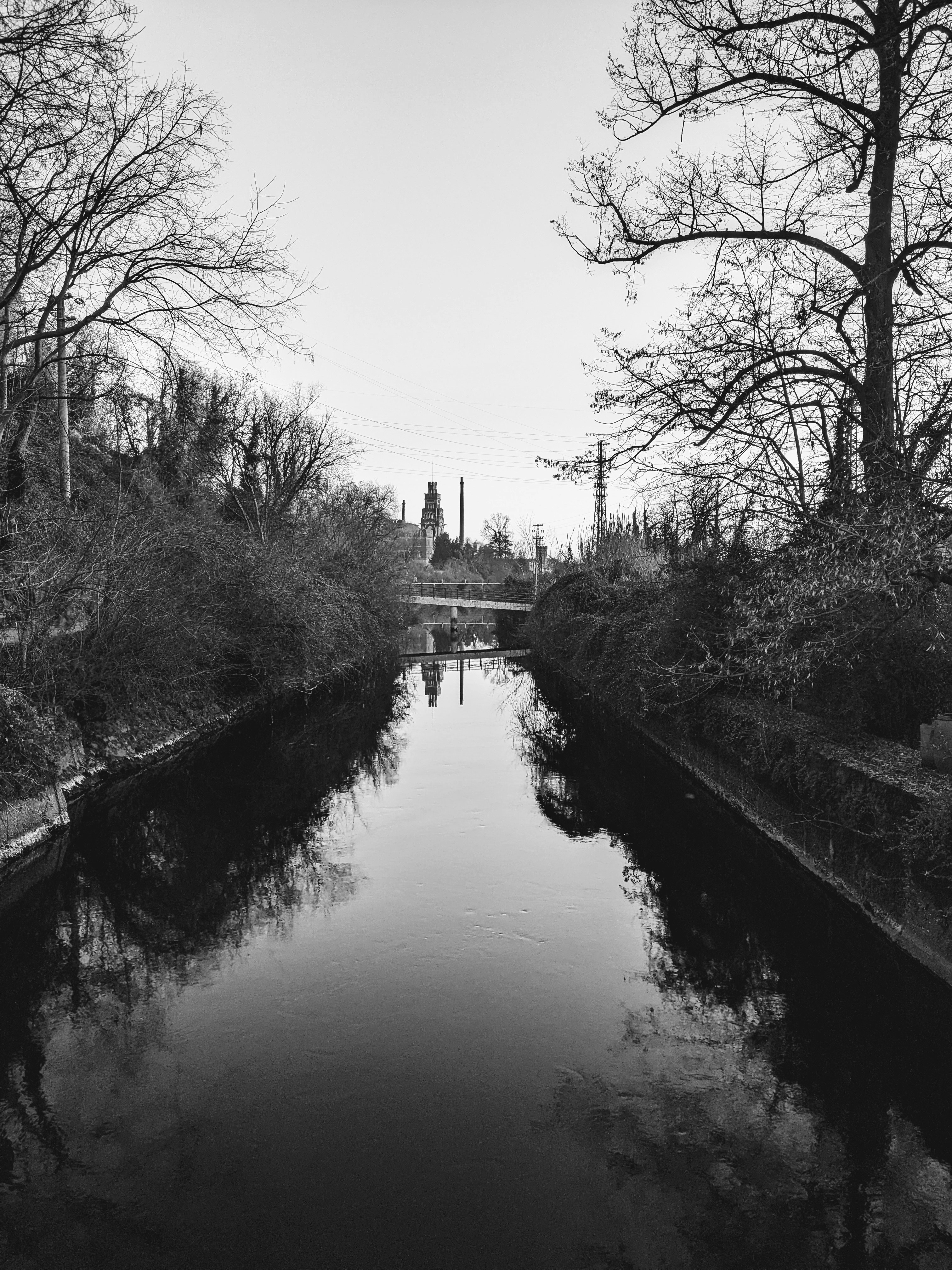 Serene canal lined with bare trees reflecting in still water under a clear sky.