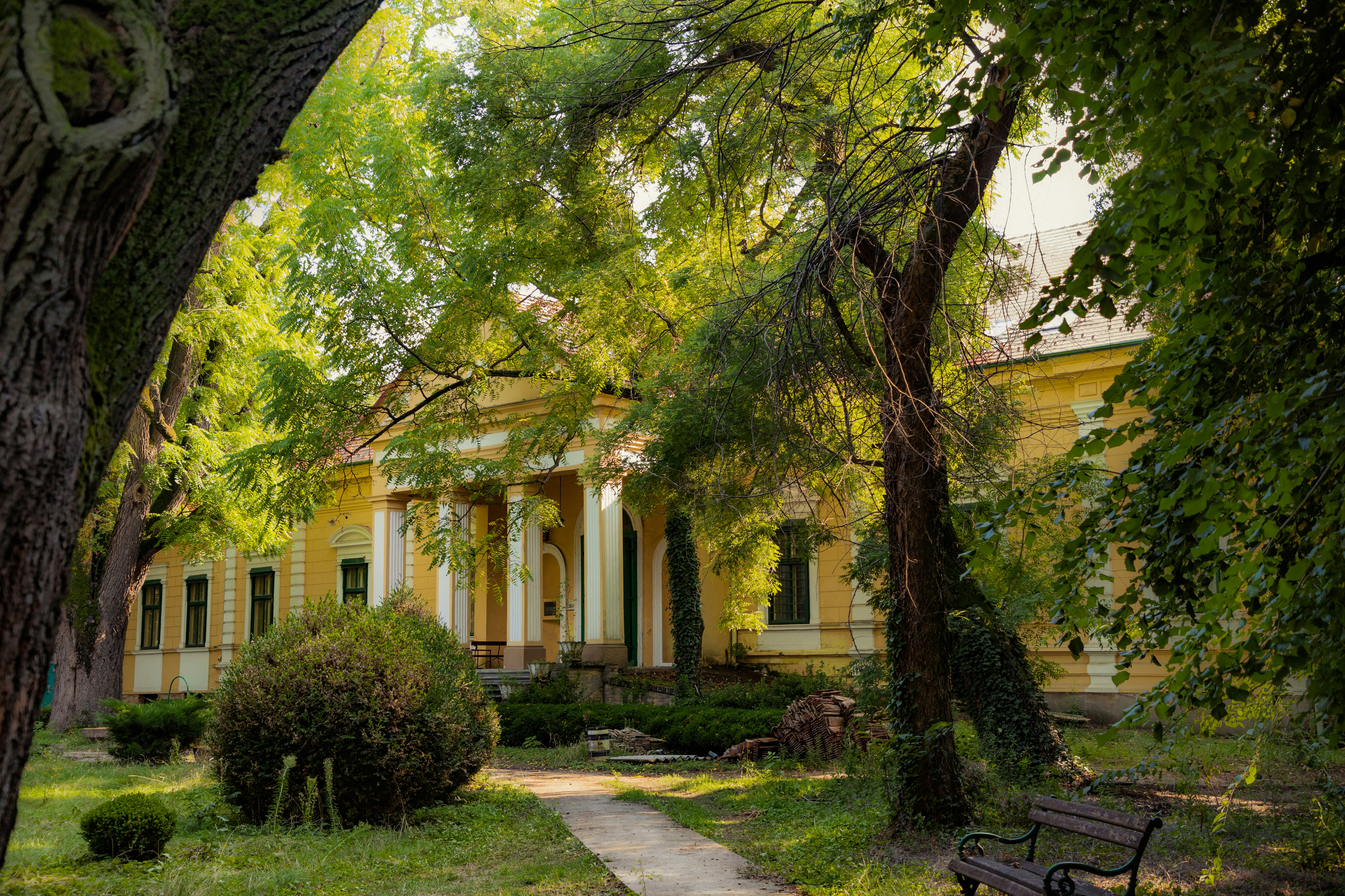 Damaskin Castle in Hajdučica; Yellow building surrounded by lush nature || 📸 : Jovan Vasiljević