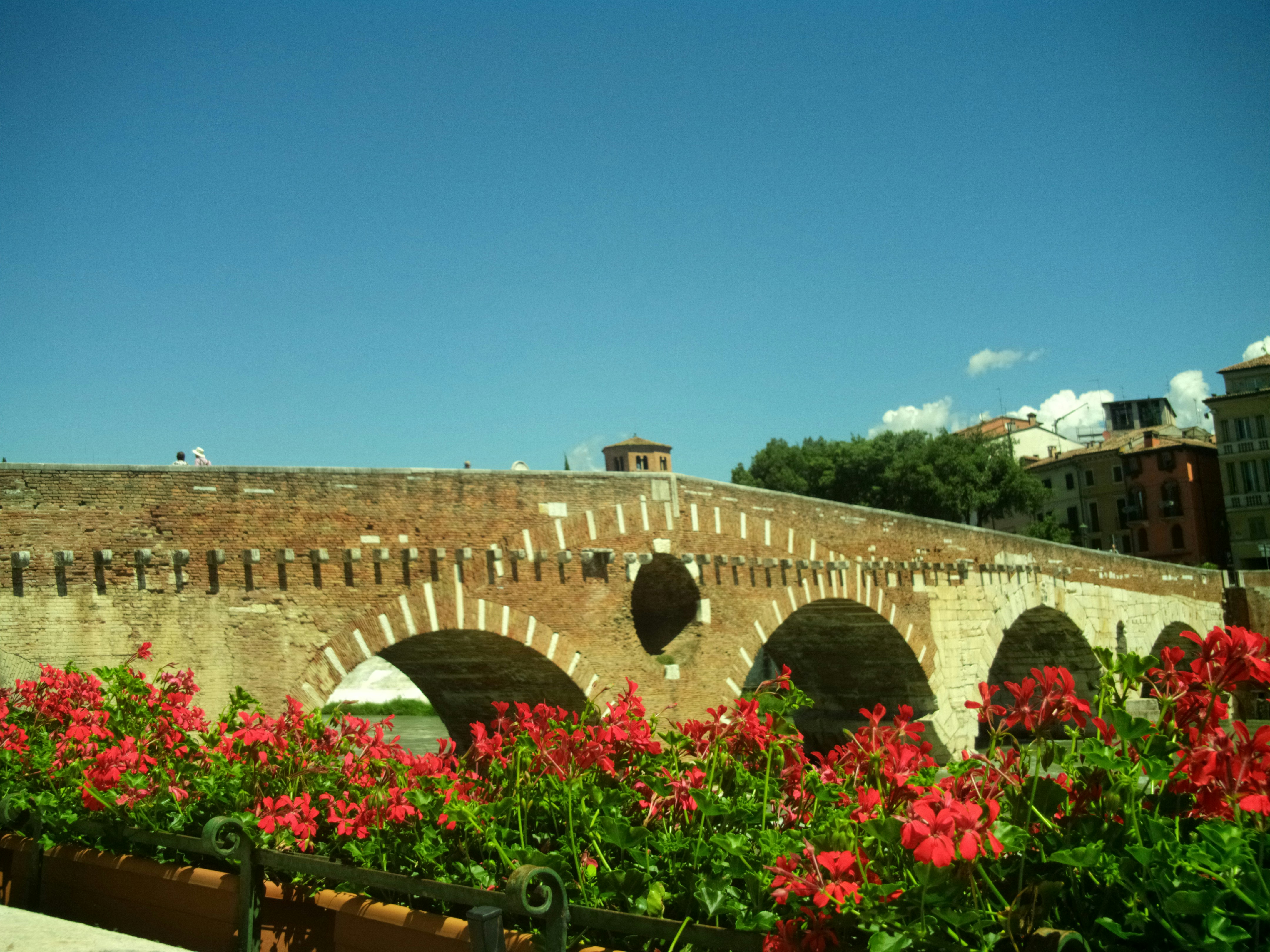 a stone bridge over a river surrounded by flowers