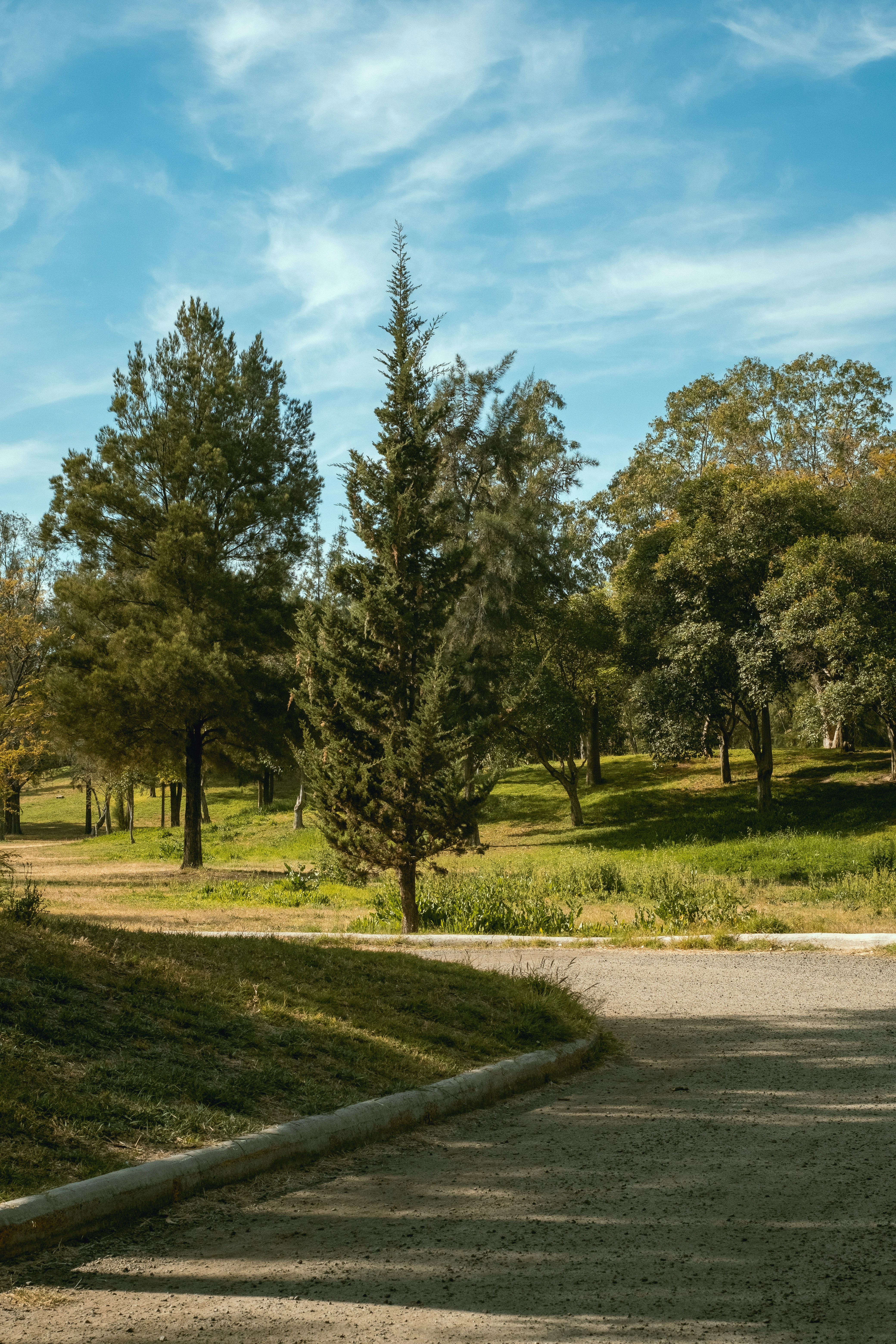 A person riding a skateboard on a path in a park photo – Free ...