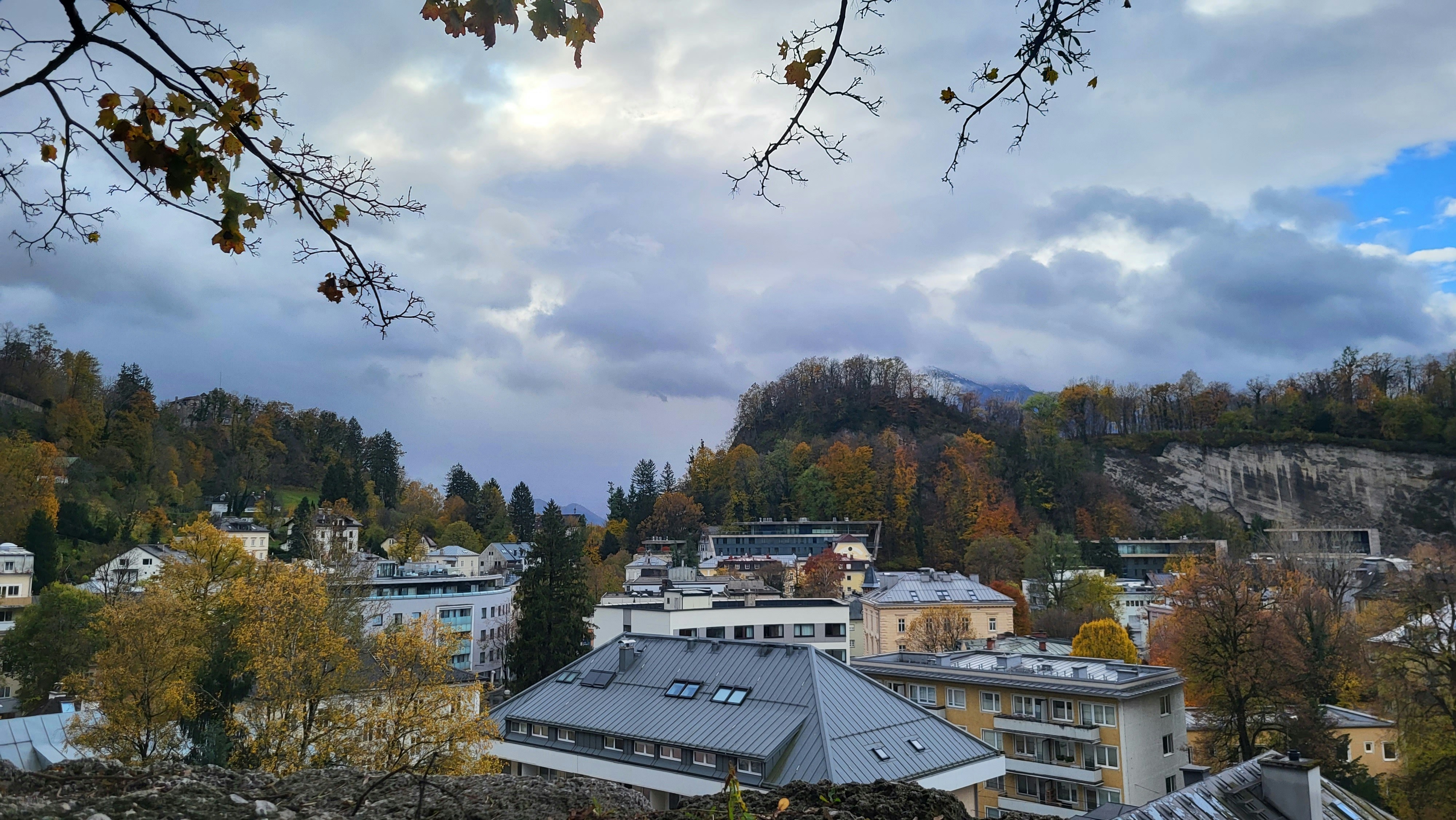Autumn Crest Overlook: Clusters of roofs and autumn trees