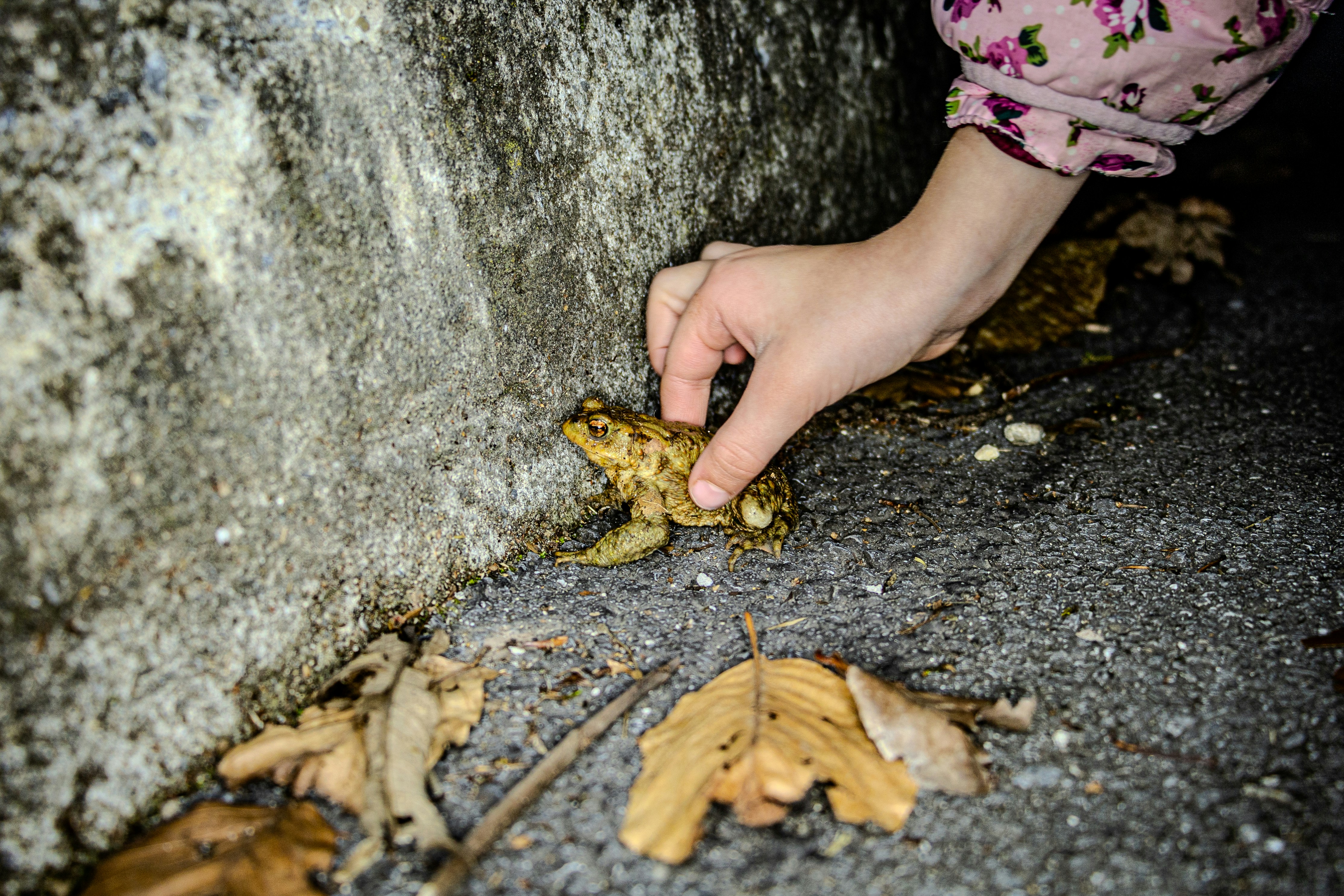 Tiny Hand, Big Moment: A Child's Gentle Discovery at the Edge of the Wall
