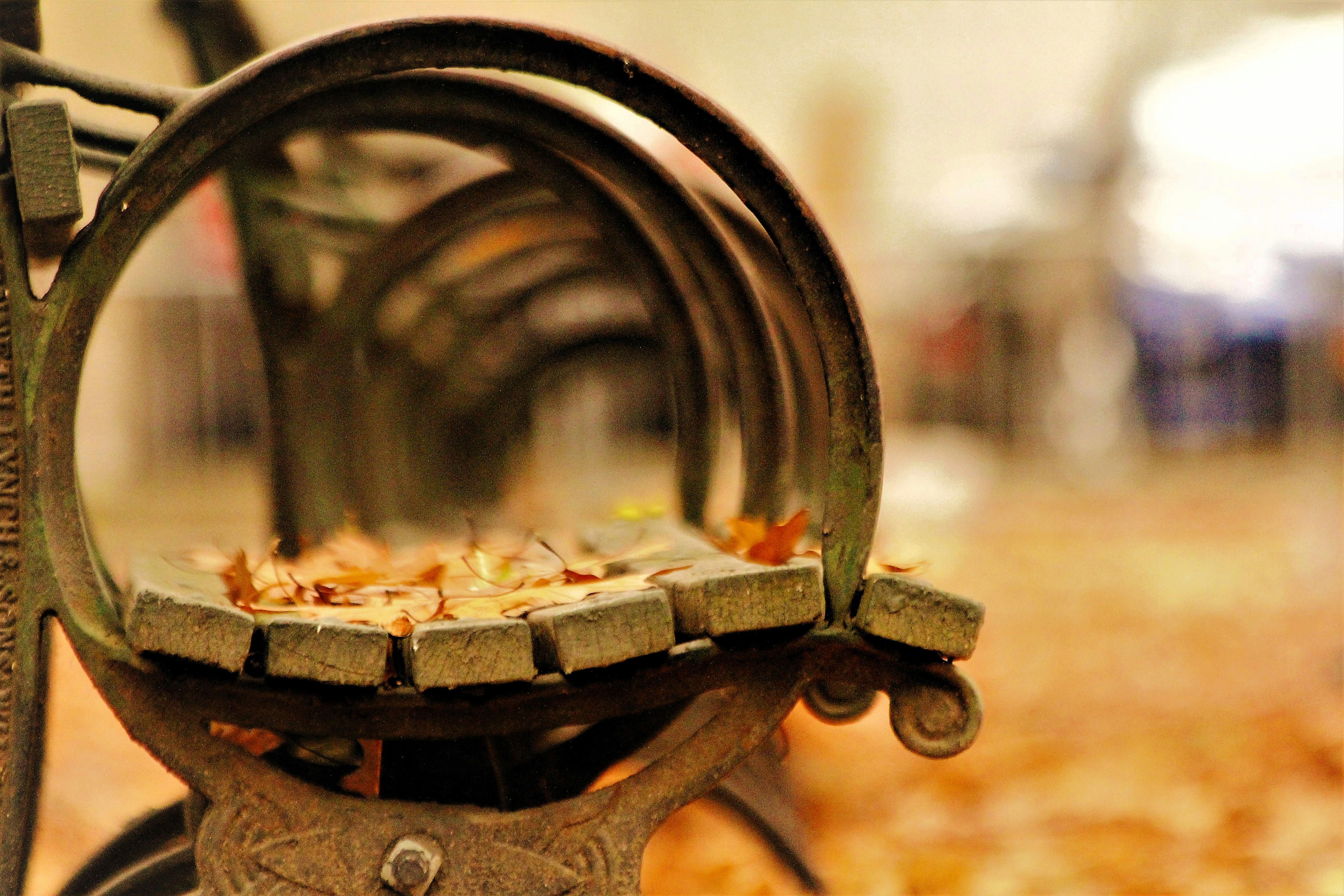Through the Rusted Ring: An Autumn Moment Framed by Industrial Texture