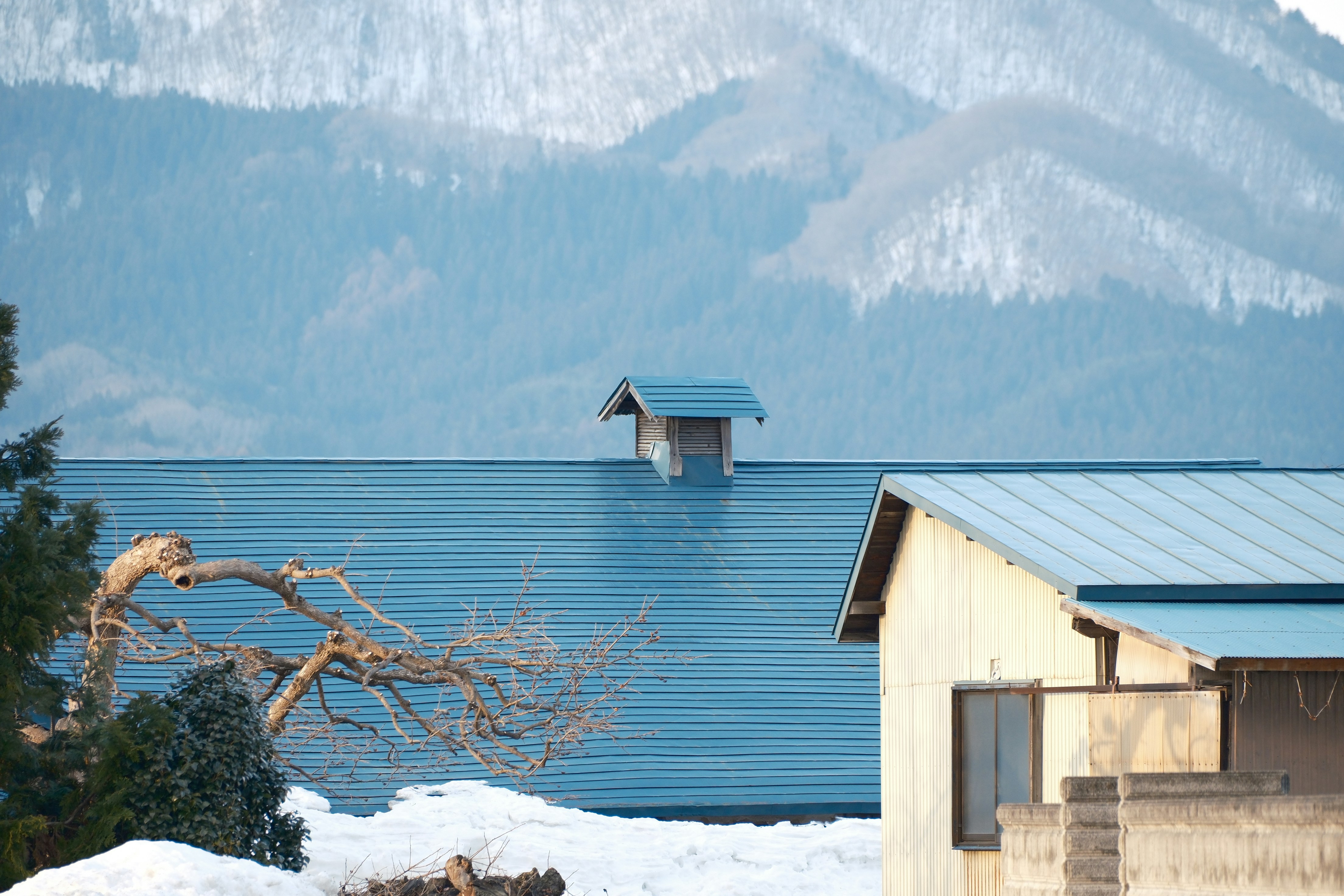 Snowbound Ridge: Quiet Cabin Under a Blue Roof