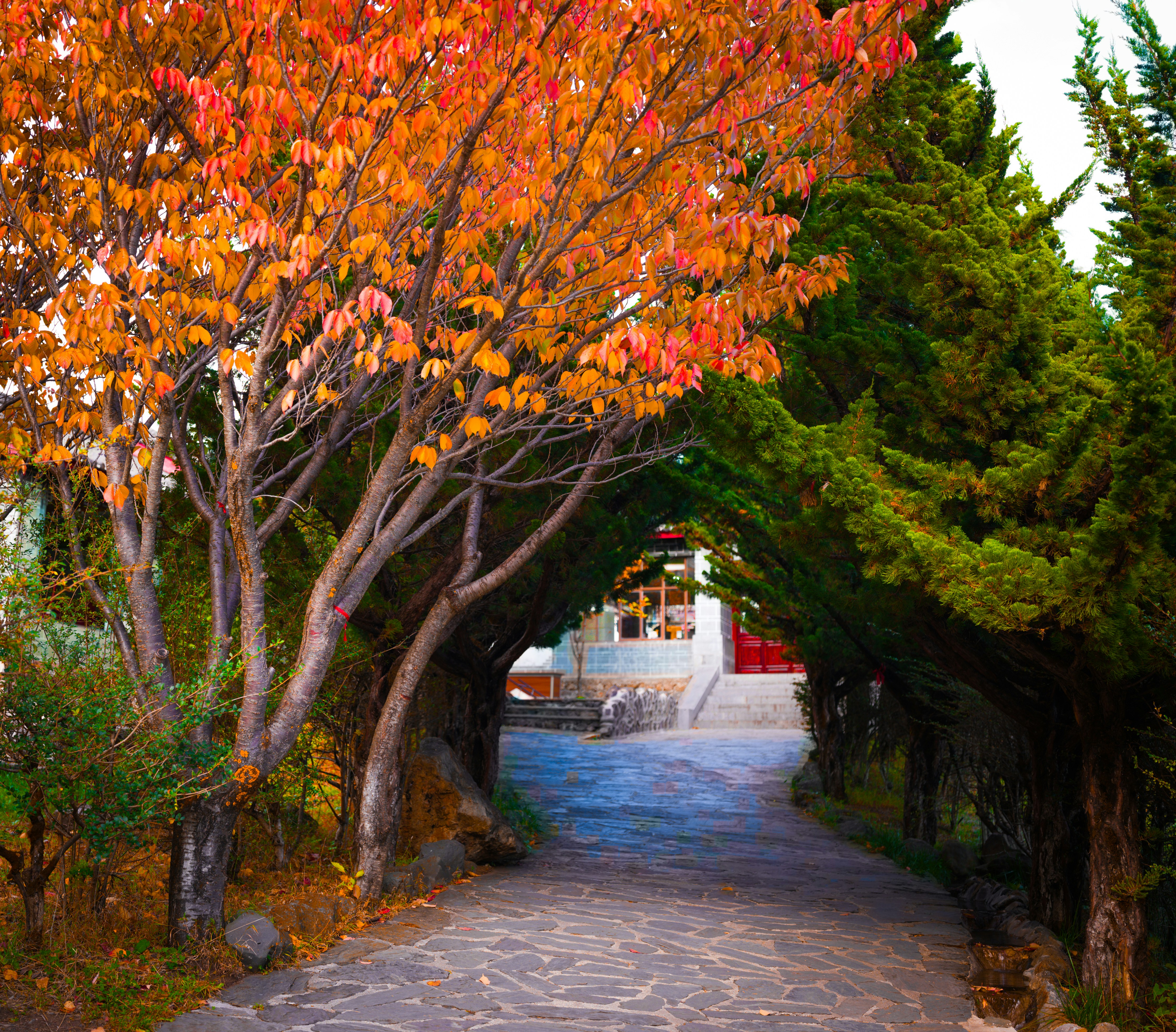 Crimson Canopy Over a Stone Path to a Red-Door Shrine