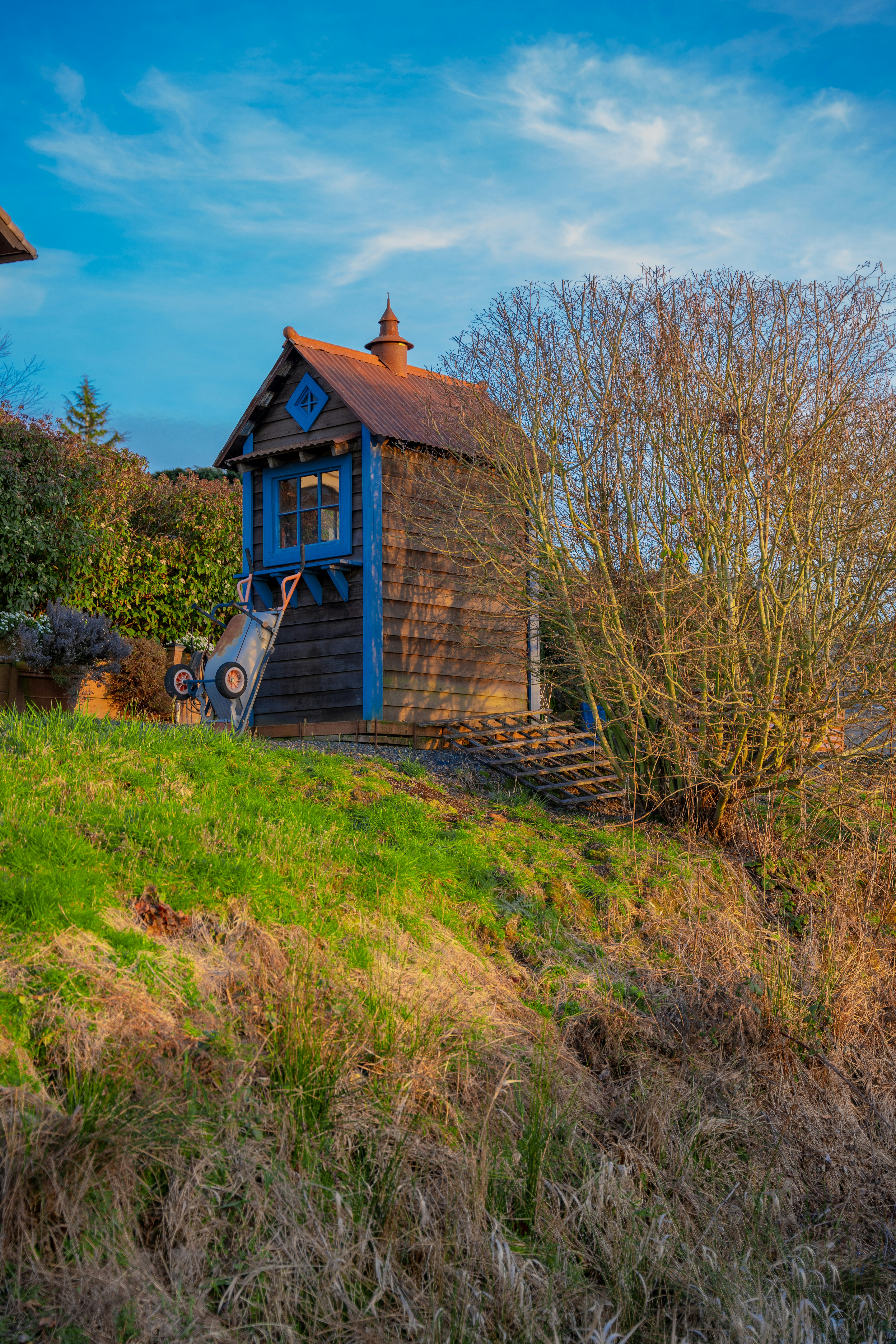 A small wooden building with a slide in the grass photo – Free Outdoors ...