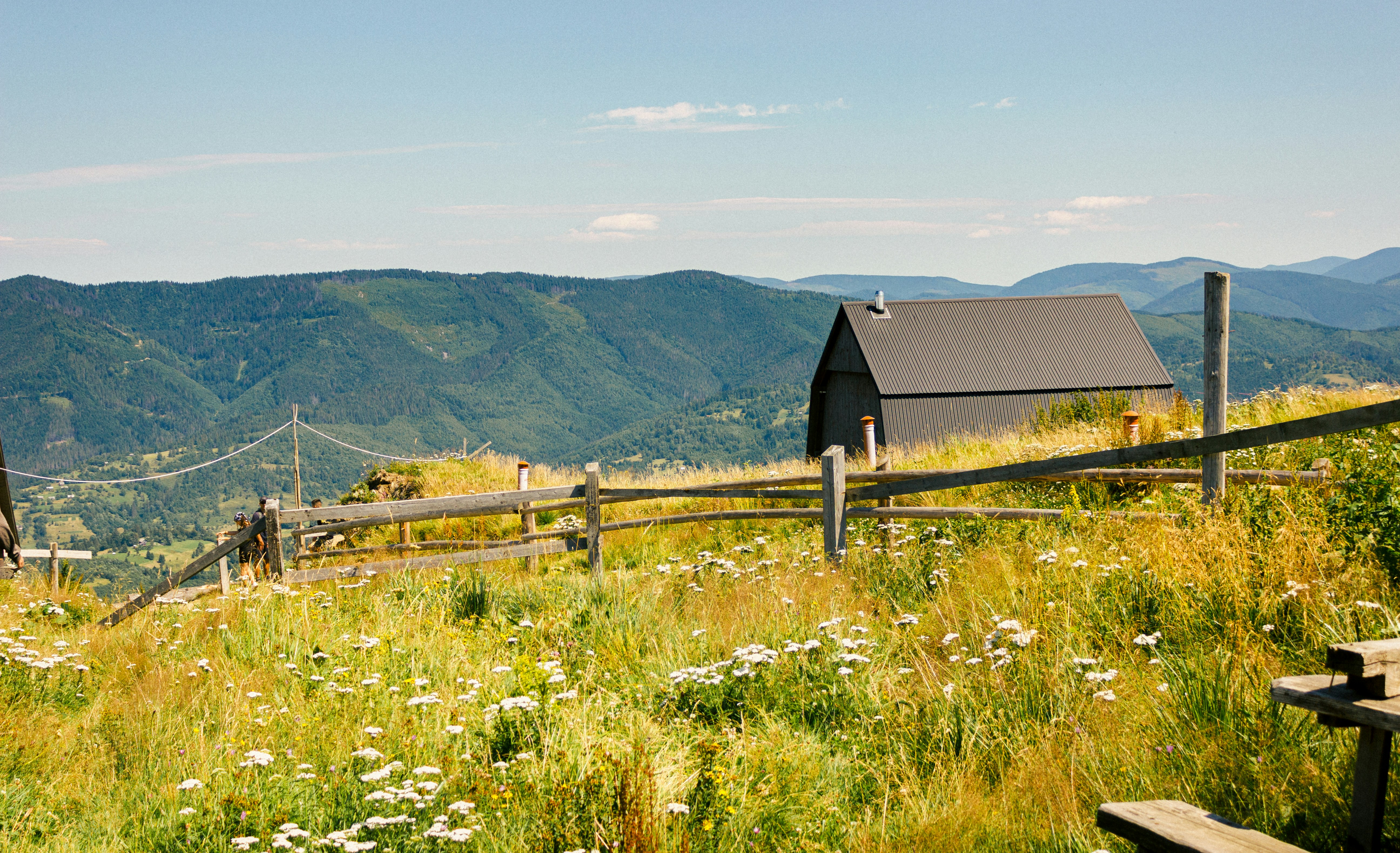 Weathered Barn on a Wind-Quiet Ridge Over a Field of Wildflowers