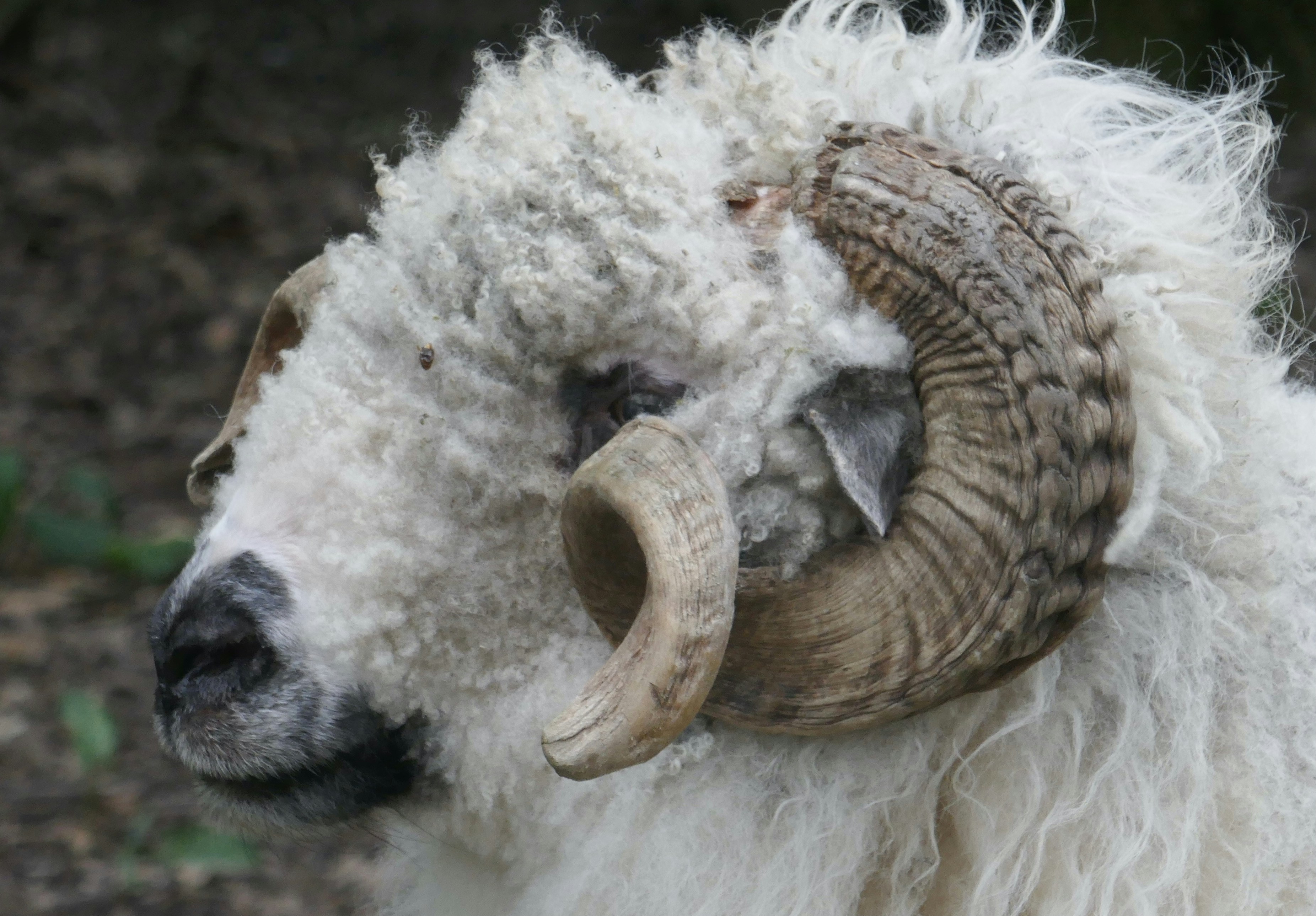 Sample photo from Panasonic Lumix TZ100