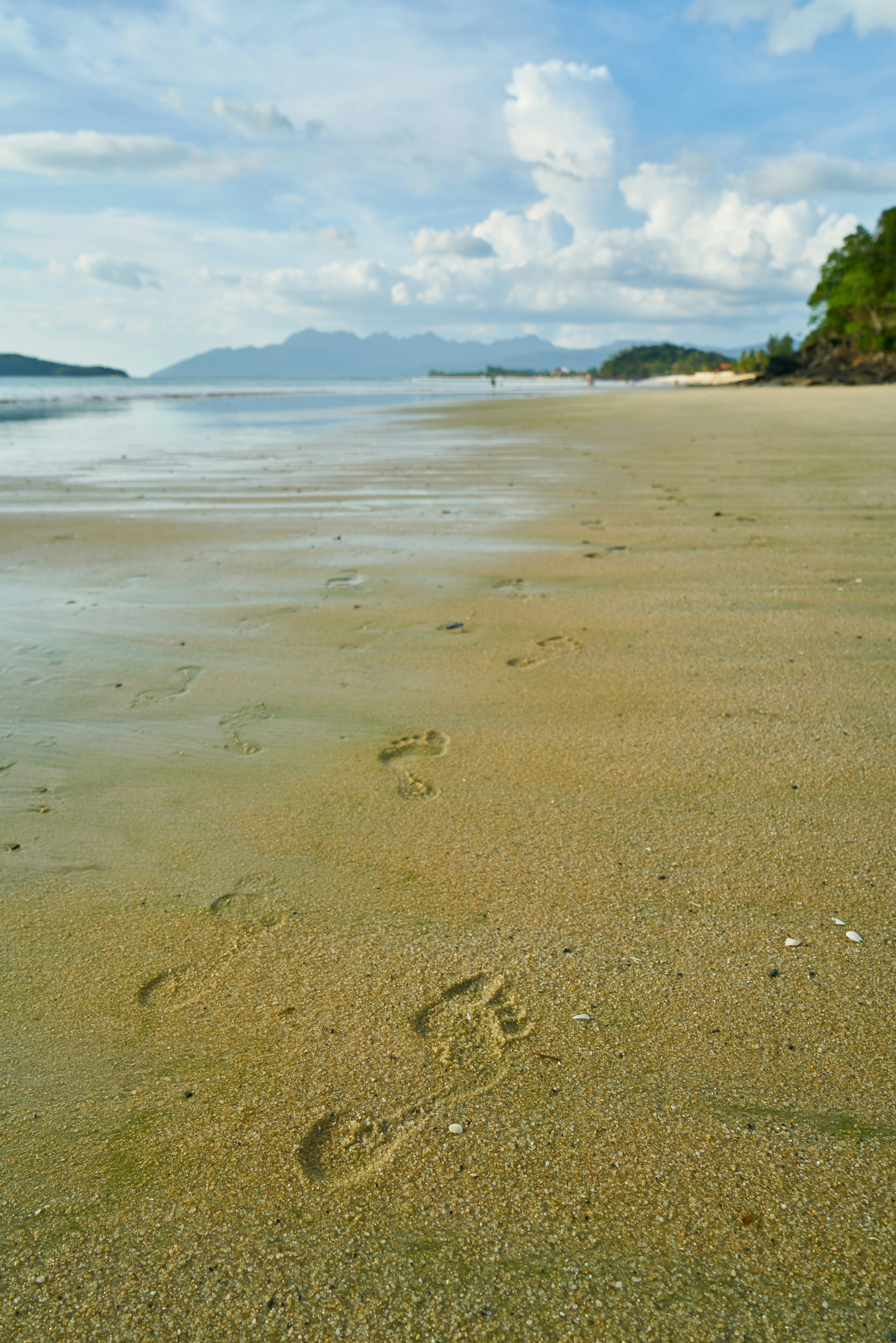 Footprints in the sand on a beach near the ocean photo – Free Beach ...