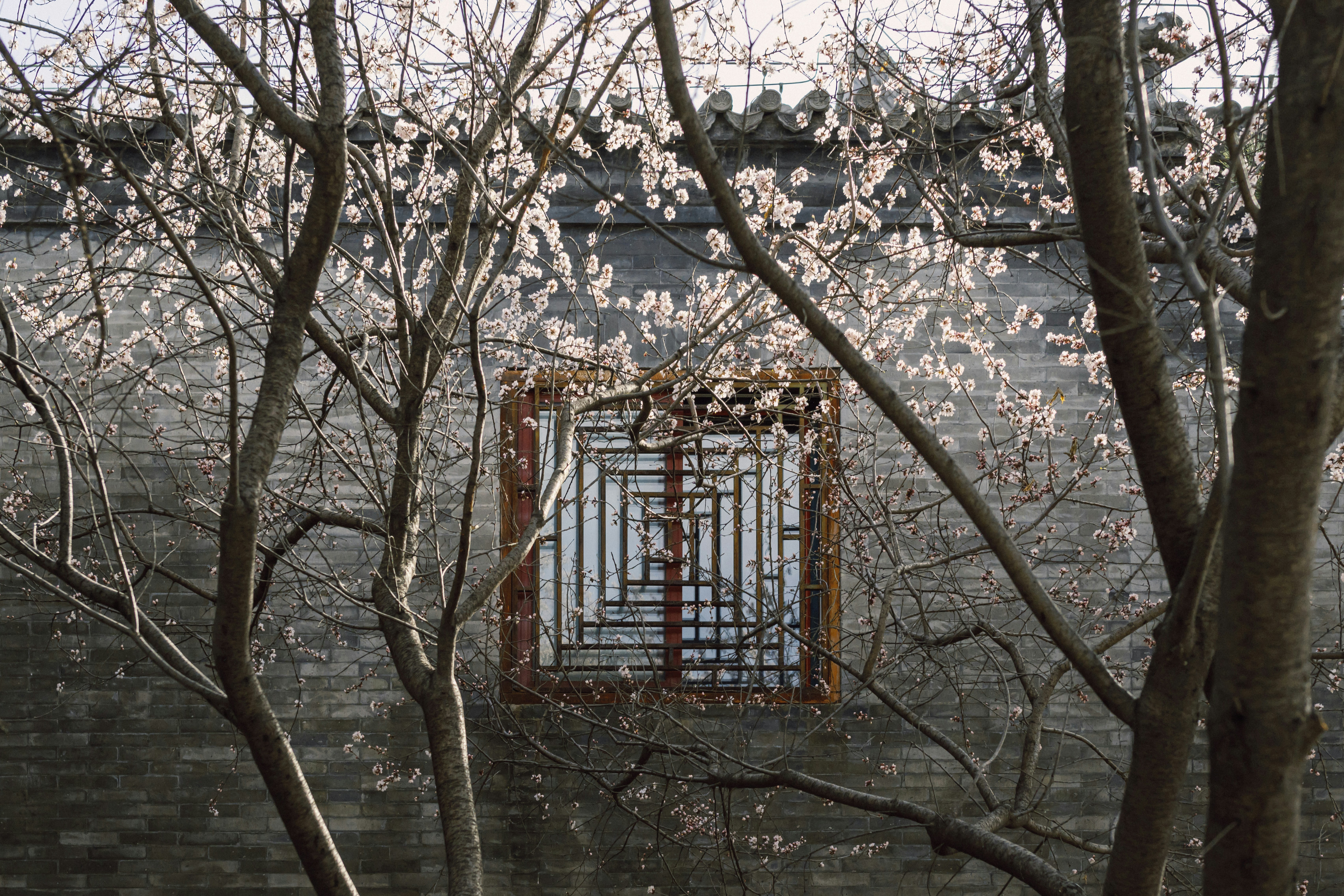 a window in a brick wall with trees in front of it