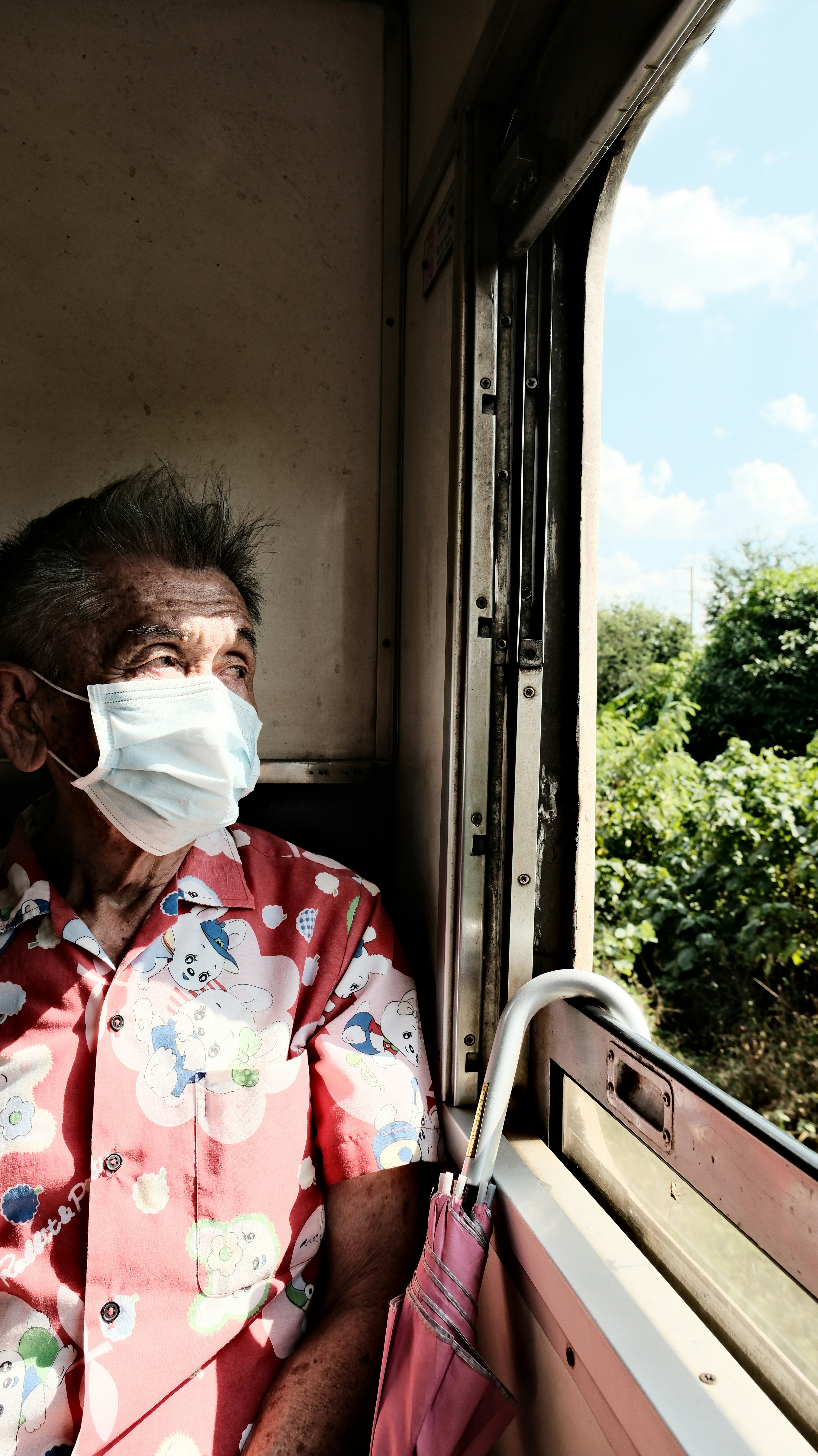 Masked Passenger Framed by a Sunlit Train Window