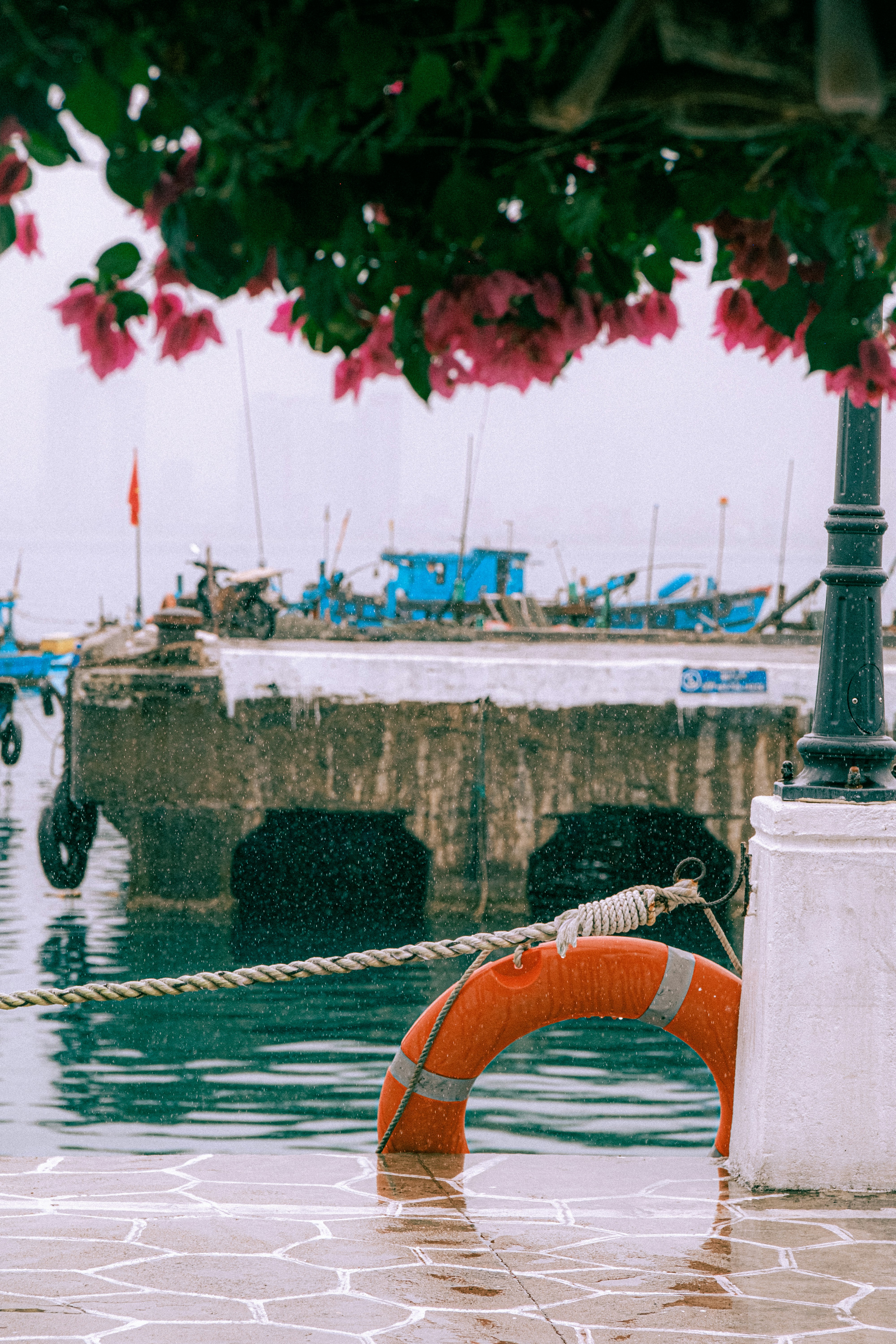 A life preserver sitting on a dock next to a body of water photo – Free ...